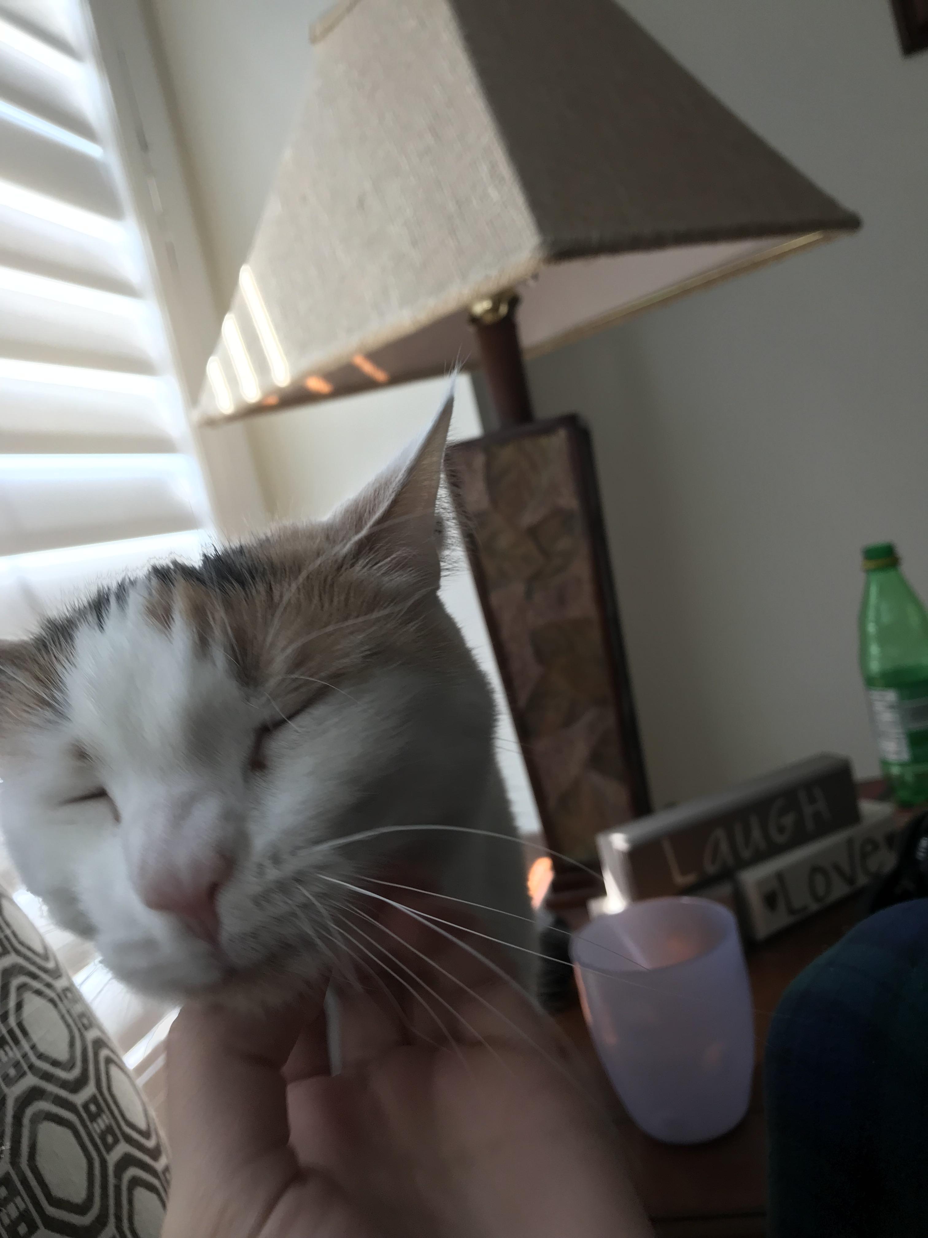 Pure Bliss | Scrolller