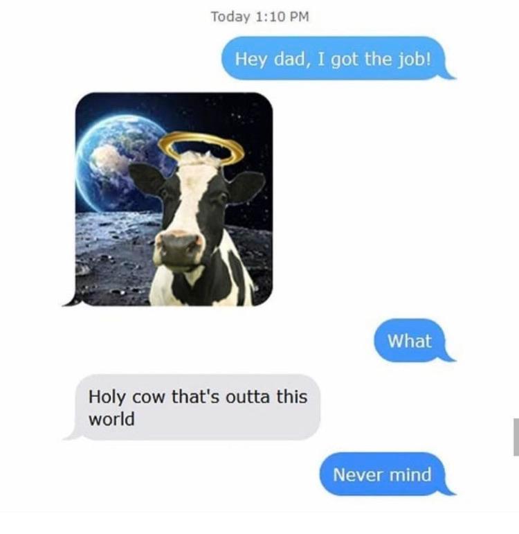 Pure Dad jokes | Scrolller