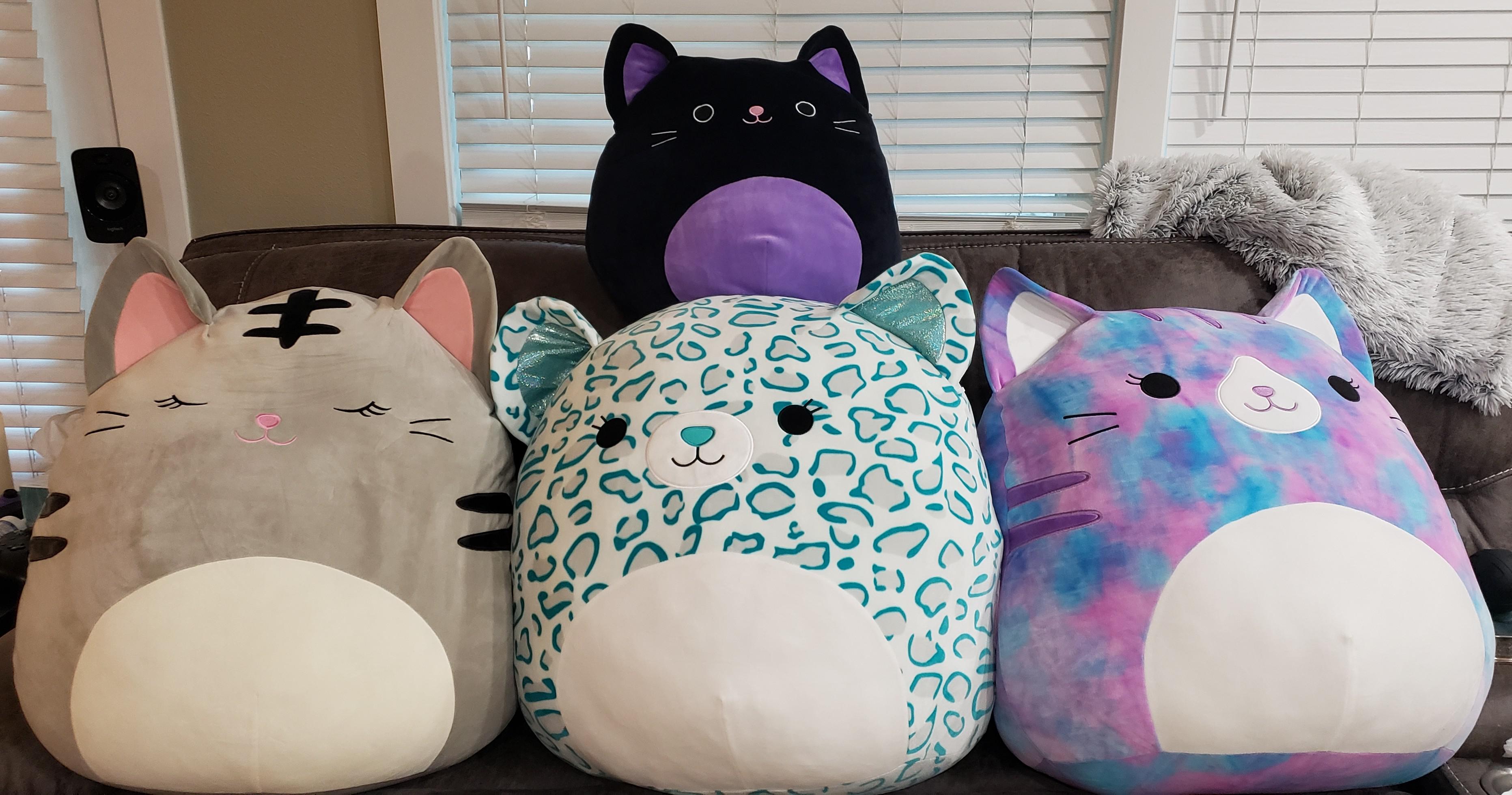 Pure. Joy. | Scrolller