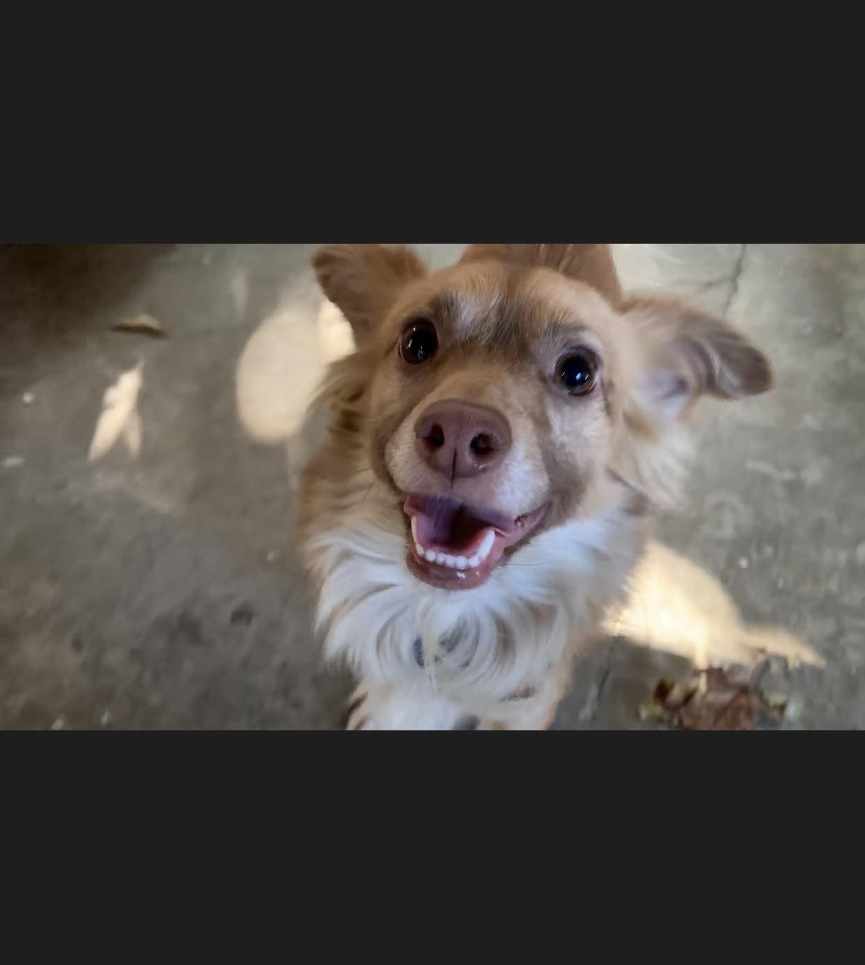 Pure joy | Scrolller