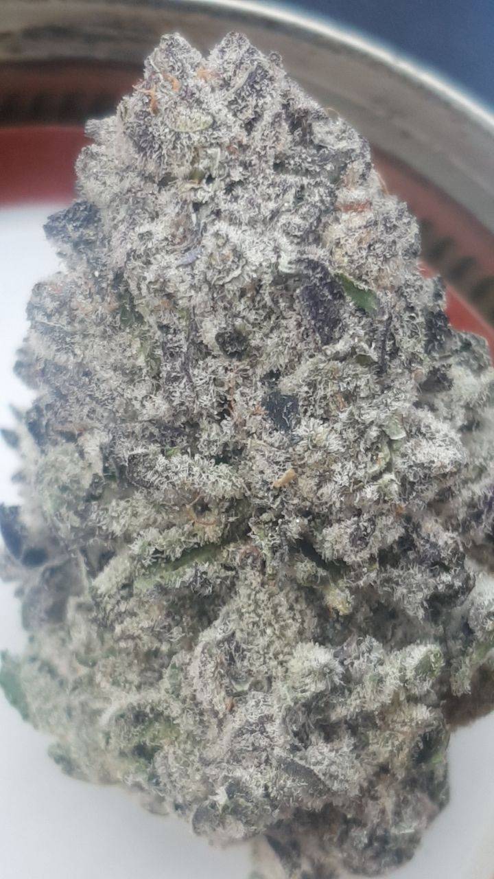 Purple Punch - Kootenay Craft - March | Scrolller