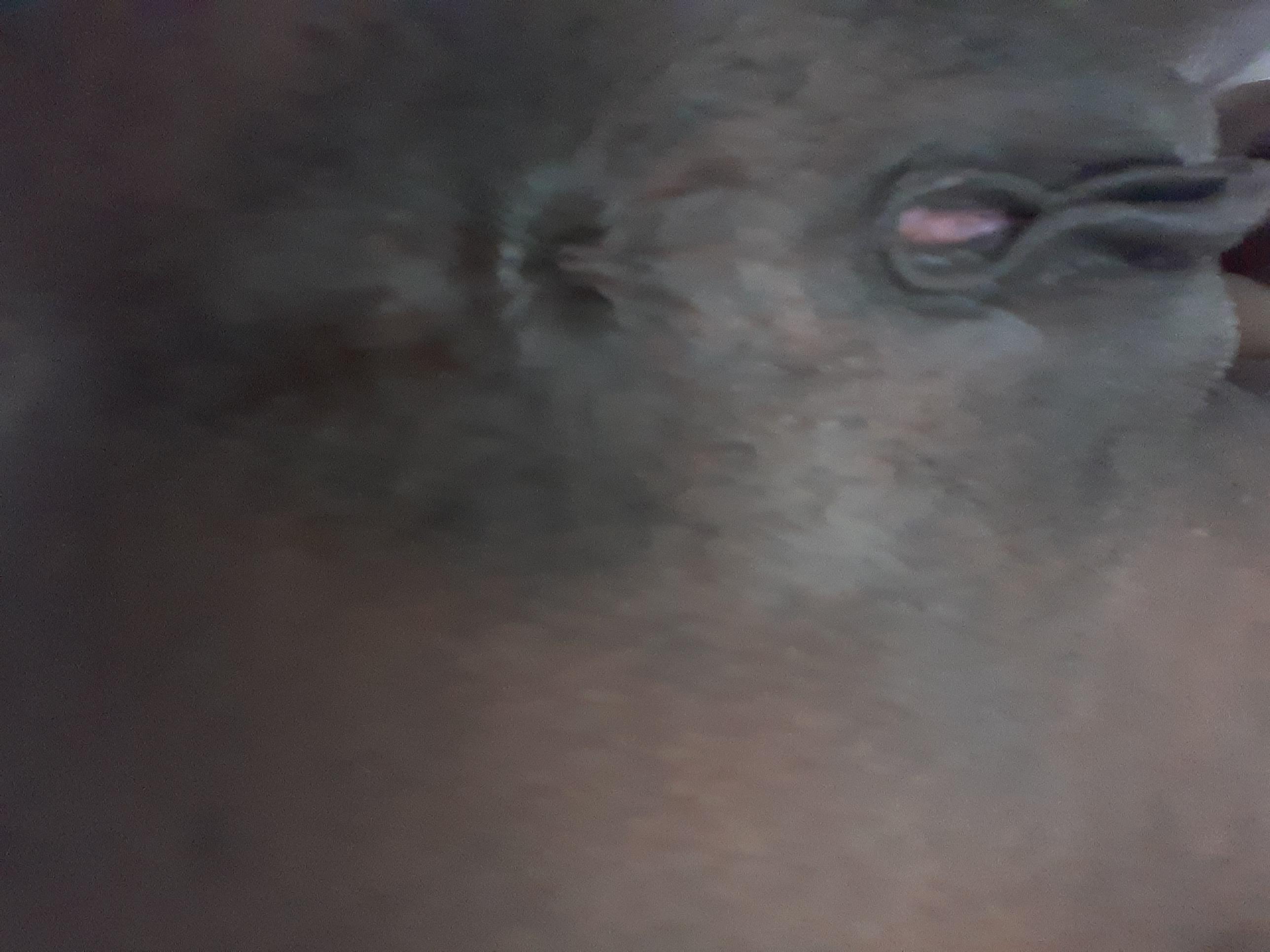 pussy and asshole so tight 💦😏 sc jazzyjazzz_420 | Scrolller