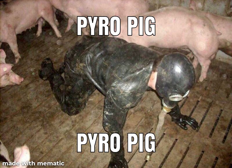 Pyro Pig | Scrolller