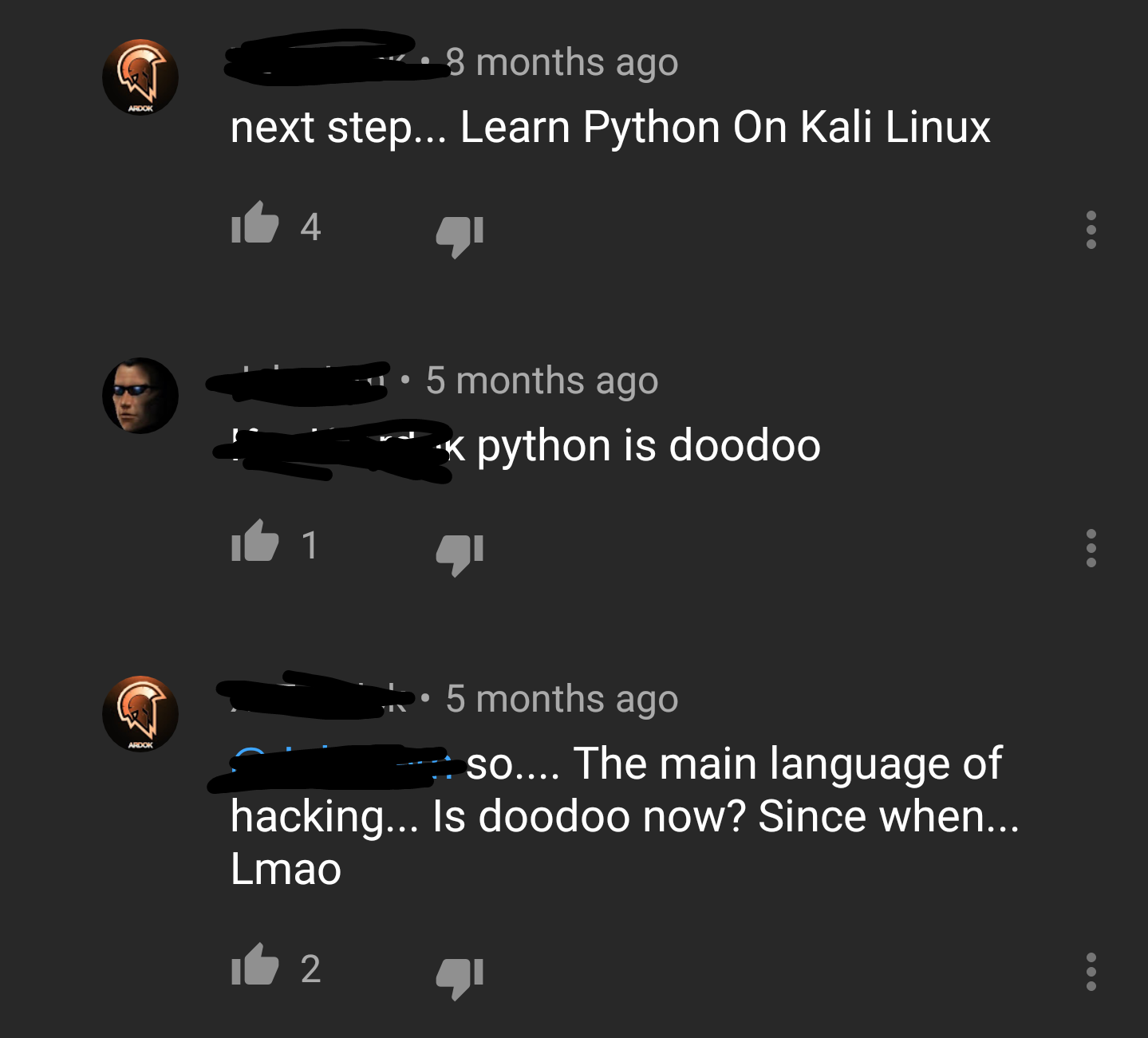 Python is the hacker language 😤 | Scrolller