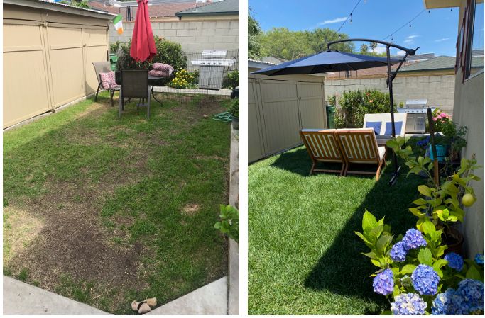 Quarantine Project | Scrolller