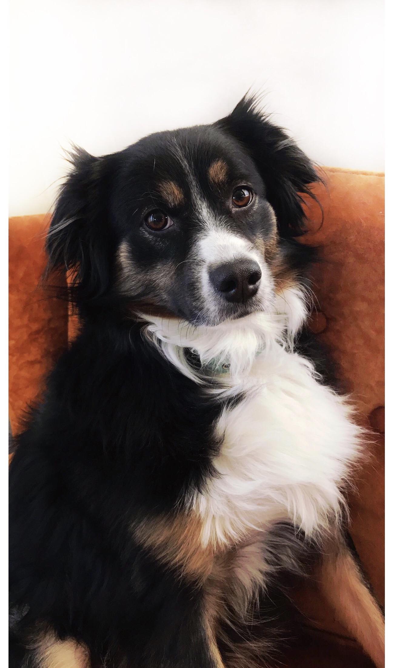 Queen Nala | Scrolller