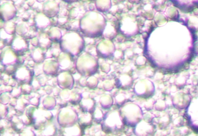 [Question] - Edge detection for microscope | Scrolller