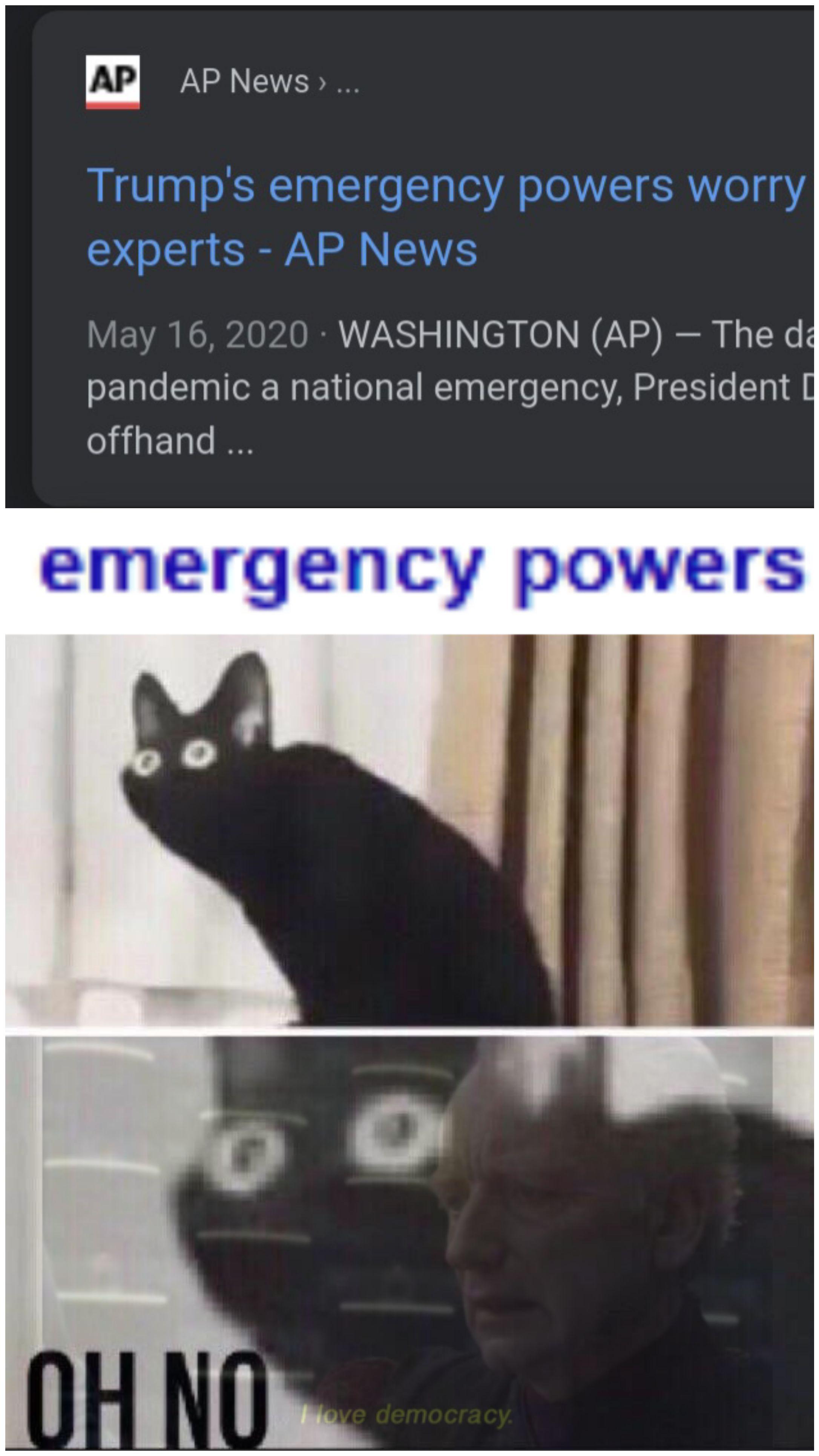 Quick! Deploy the meme! | Scrolller