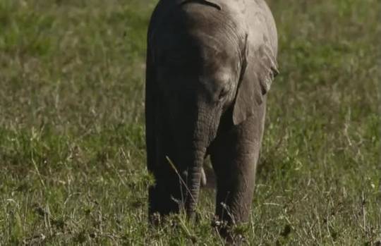 Quick nap, then RAMPAGE | Scrolller