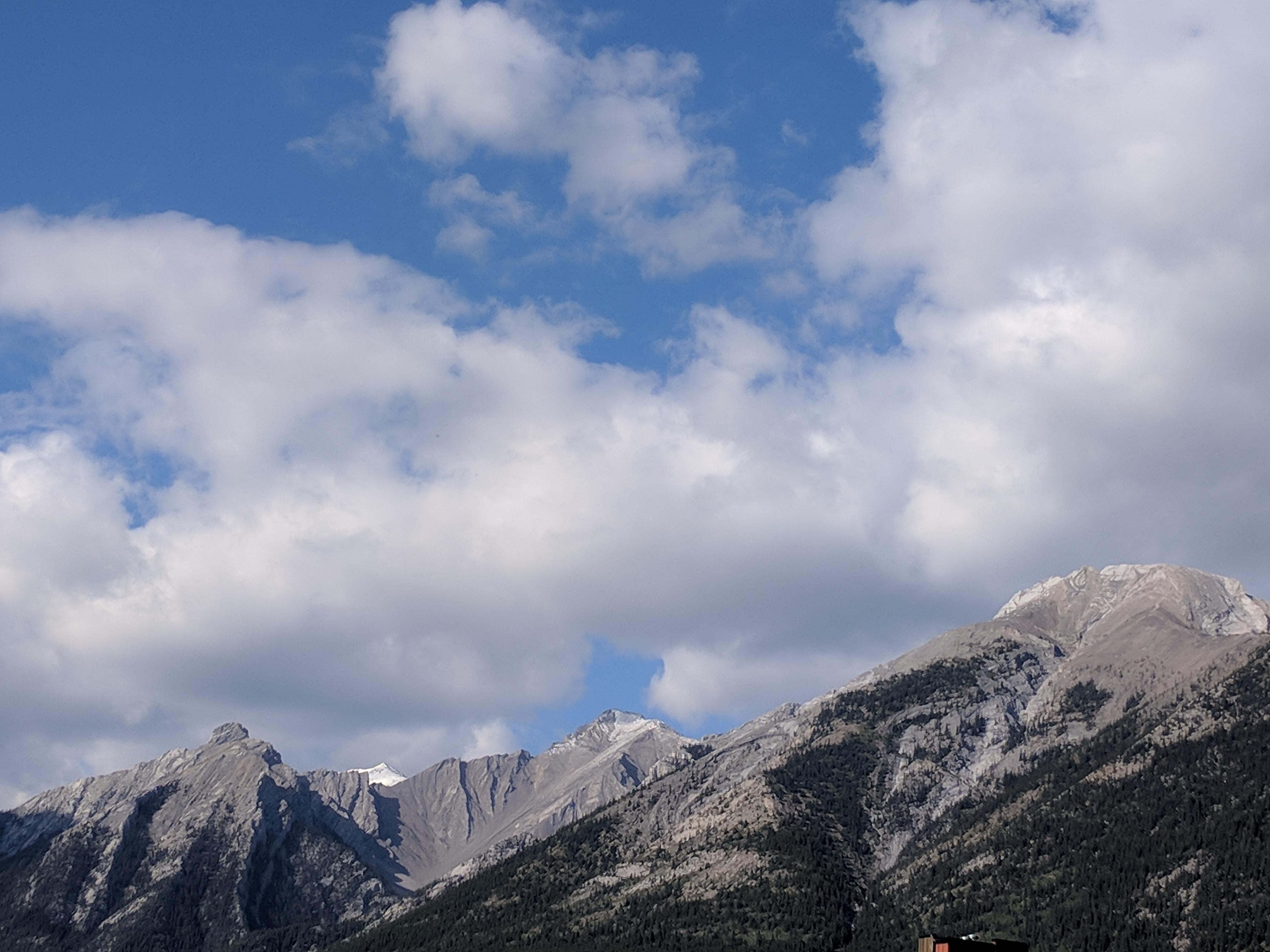 Quick Pic Update Scrolller