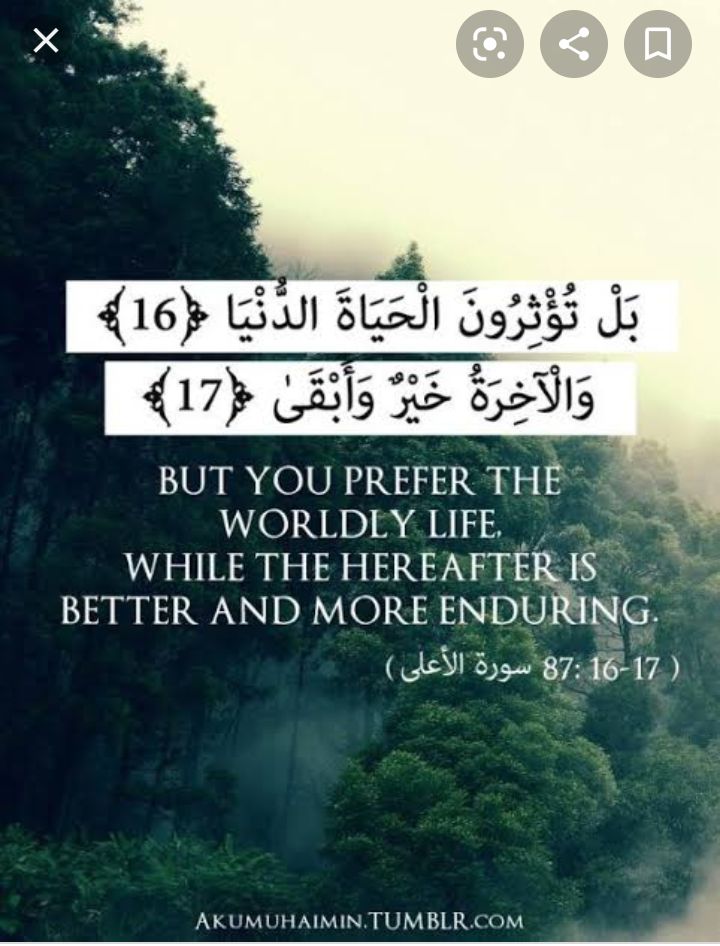 Quran reminder | Scrolller