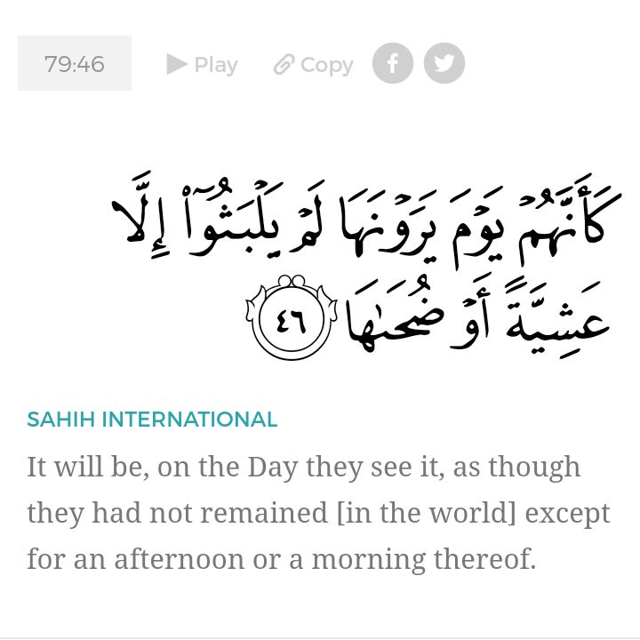Quran reminder that puts this wordly life in perspective. | Scrolller