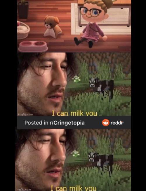 r/Cringetopia users with this format | Scrolller