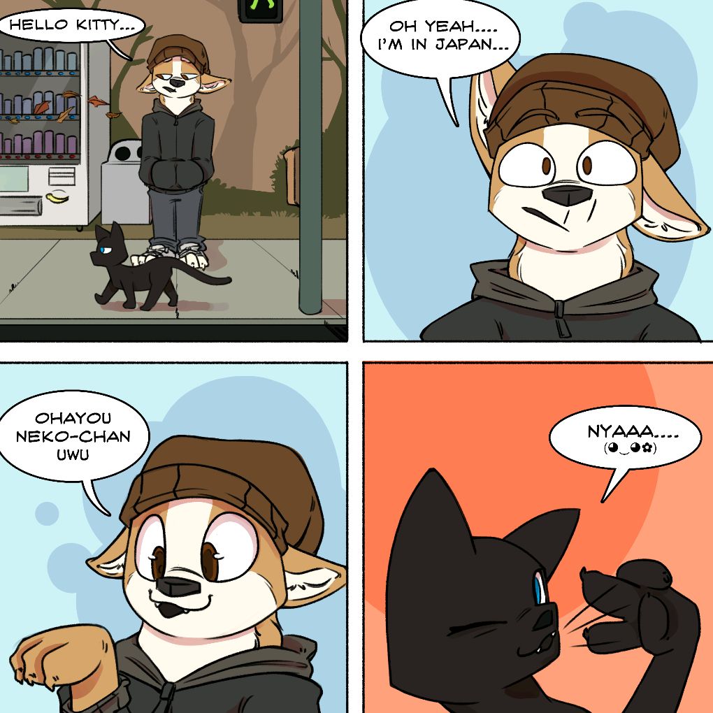 r/furry... | Scrolller