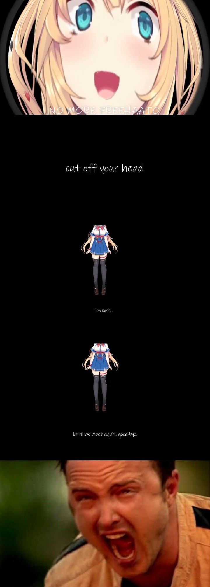 R.I.P Haato... | Scrolller