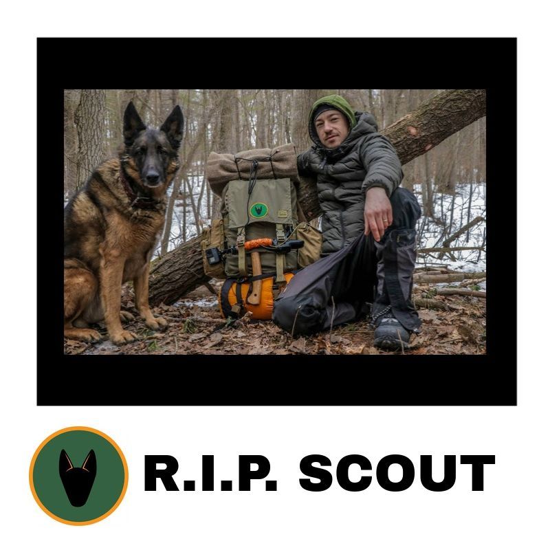 R.I.P. SCOUT - Thanks for the Memories... | Scrolller