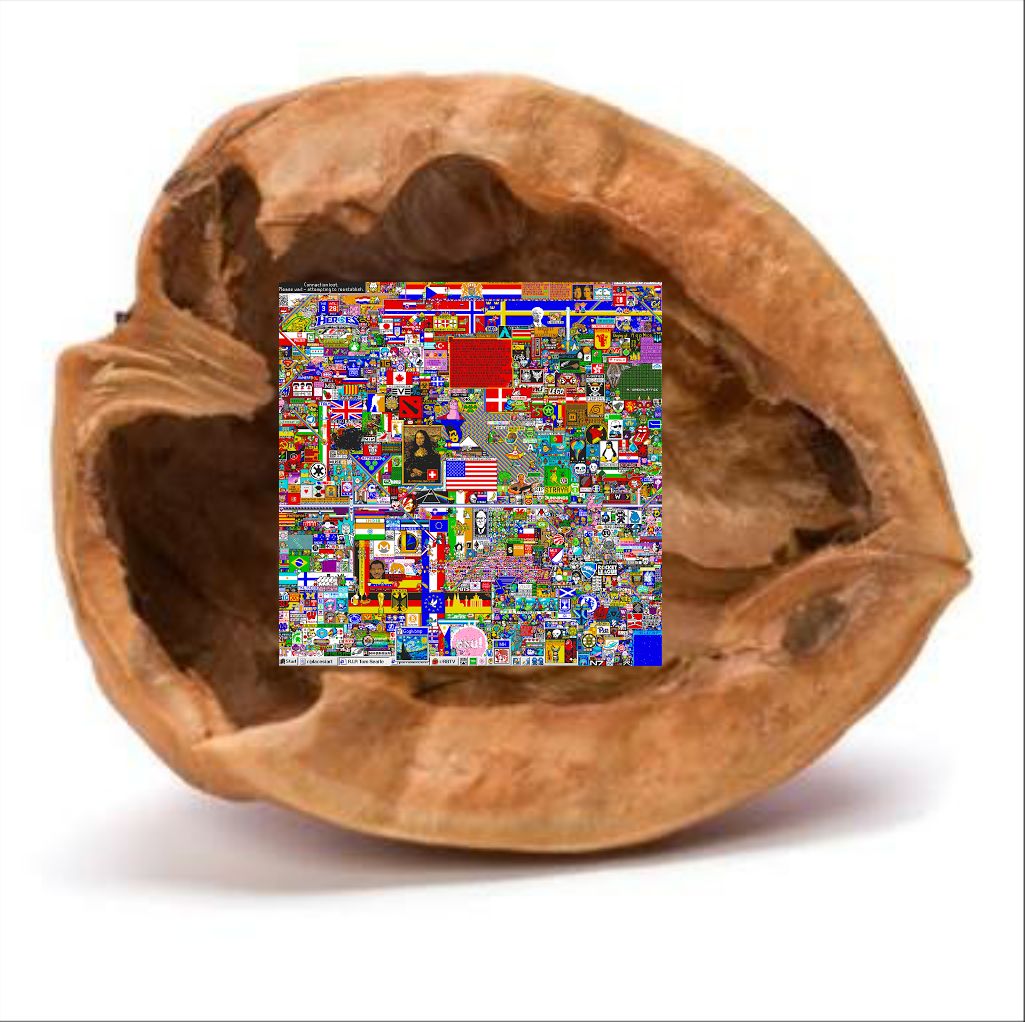 r/place in a nutshell. | Scrolller