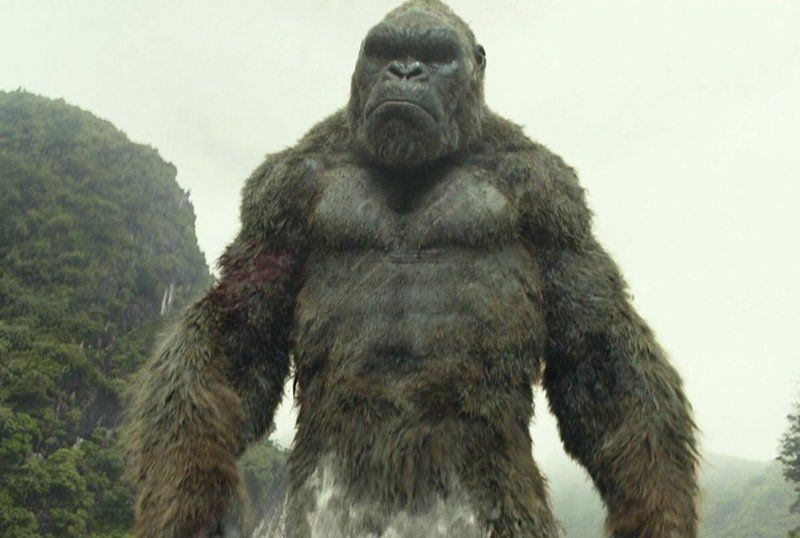Raid r/godzillamemes with pictures of ape. Apes together strong. | Scrolller
