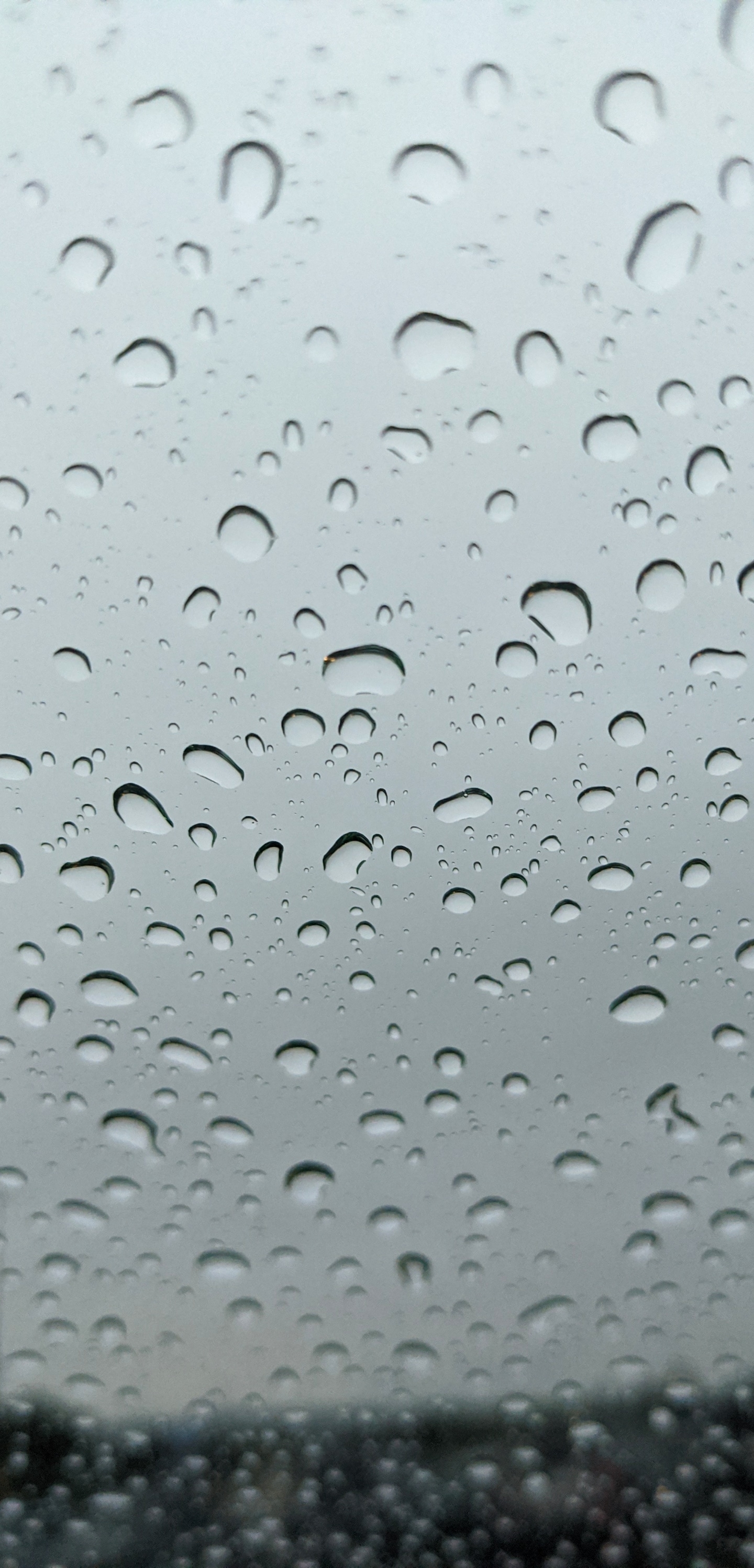 Rain [OC] | Scrolller