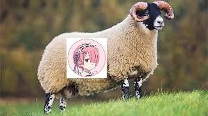 Ram the Ram | Scrolller