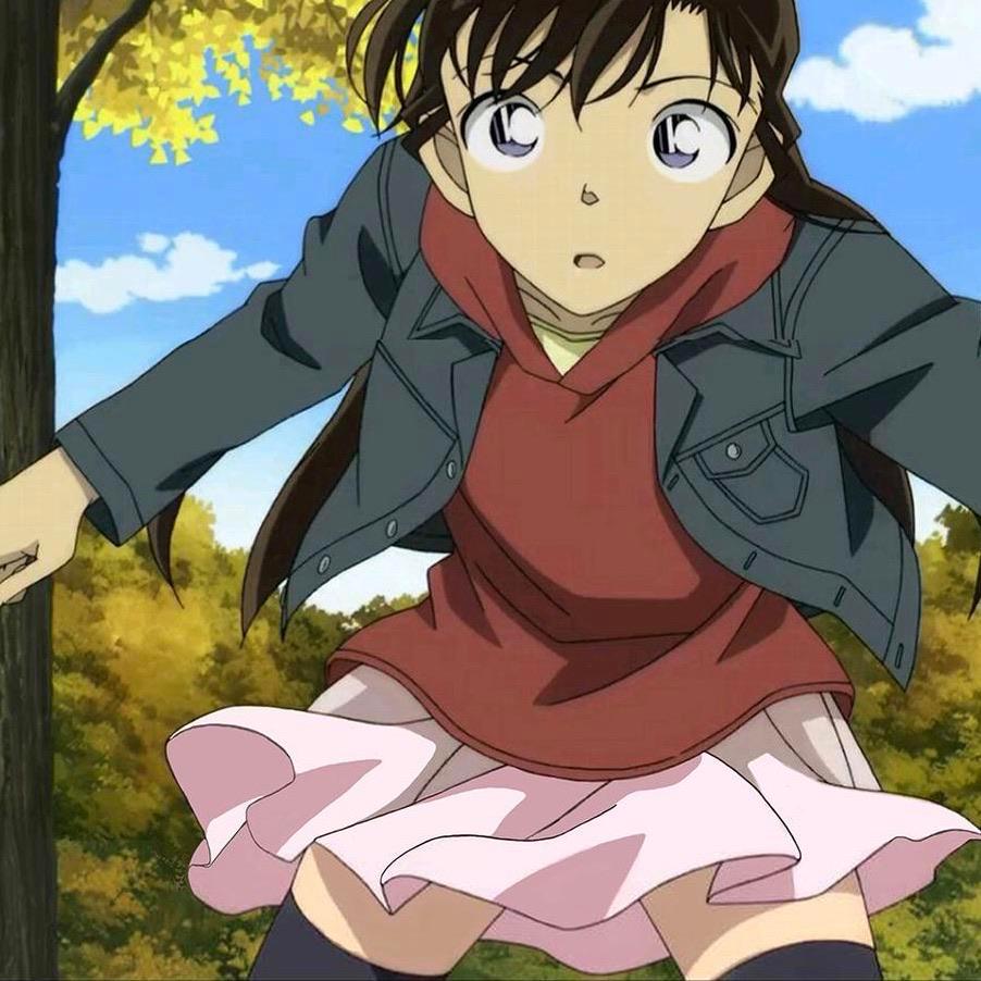 Ran Mouri - Detective Conan | Scrolller