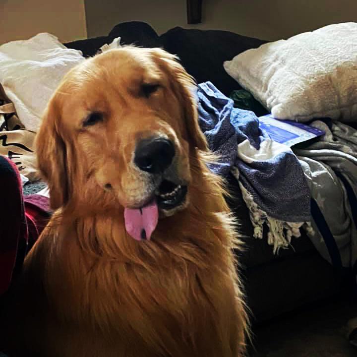 Randle showing off his best derp face! | Scrolller