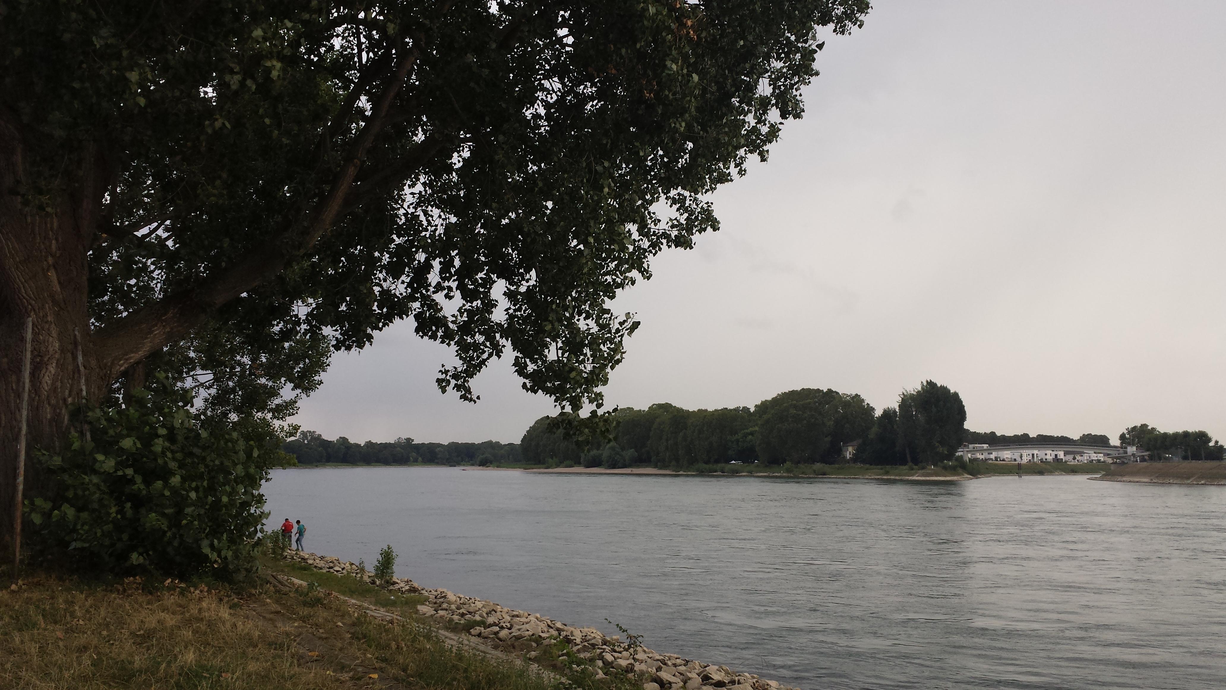 random Mannheim#11 | Scrolller