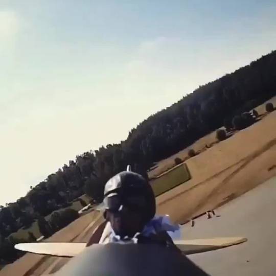 Raptor attacking and decapitating an RC pilot | Scrolller