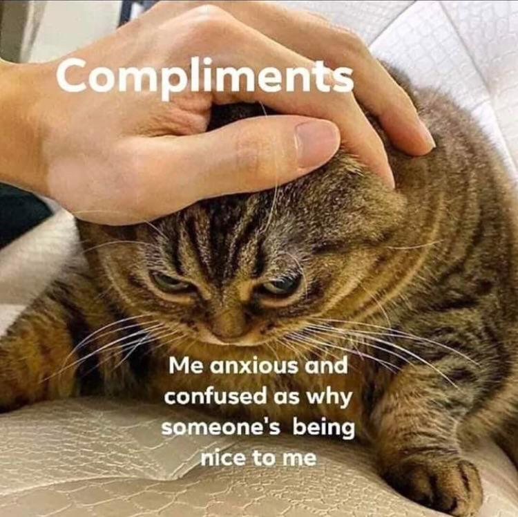 Rarely happens ... the compliments | Scrolller