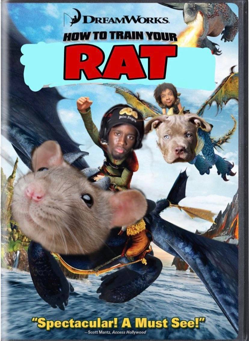 Rat Cenat | Scrolller