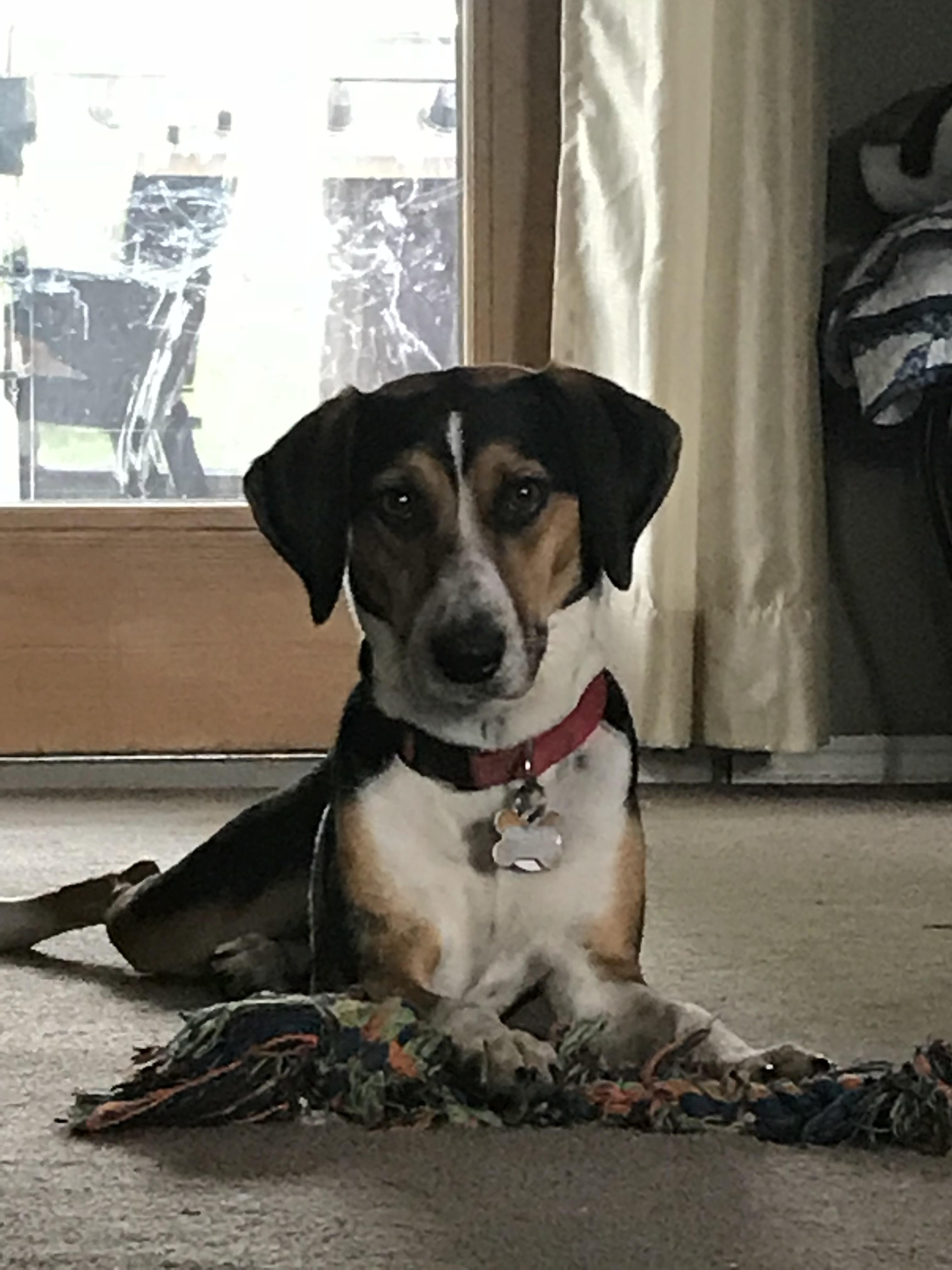 Rate my girl. She loves her rope! | Scrolller