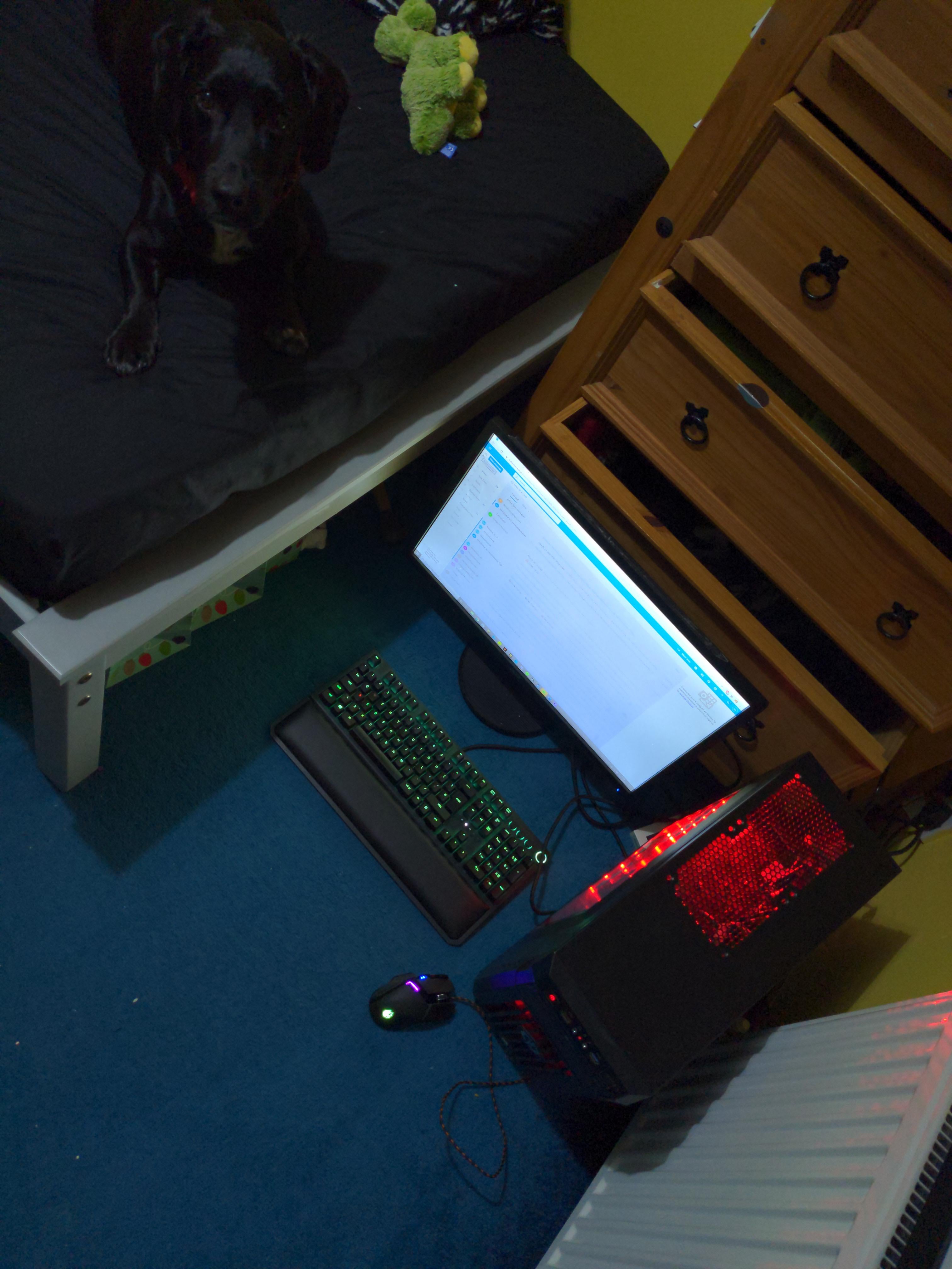 Rate my setup!! | Scrolller