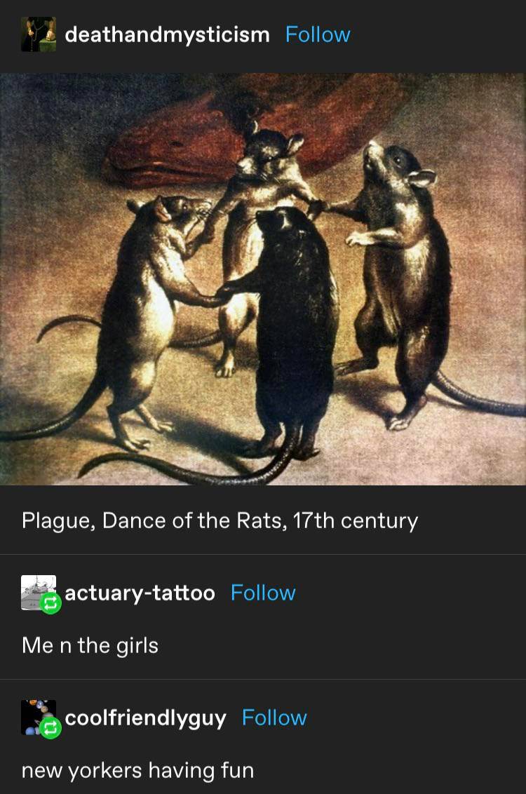 rats rats rats | Scrolller