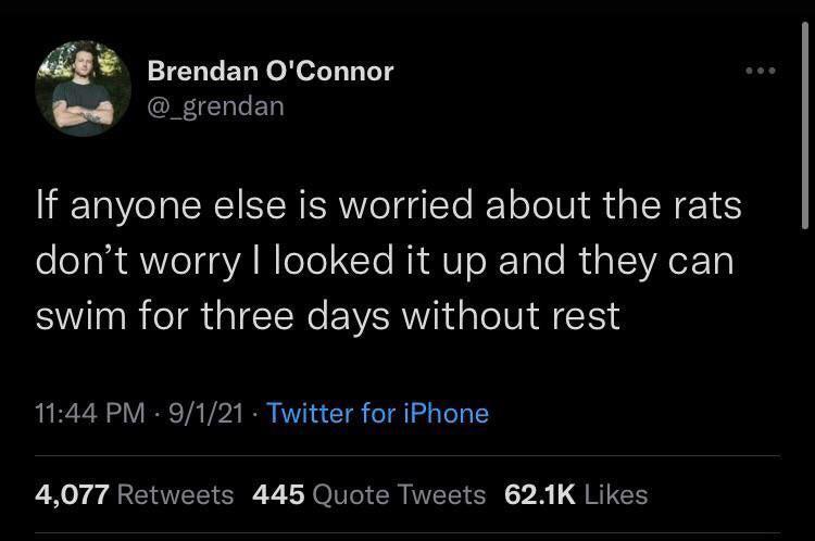 Rats rule | Scrolller