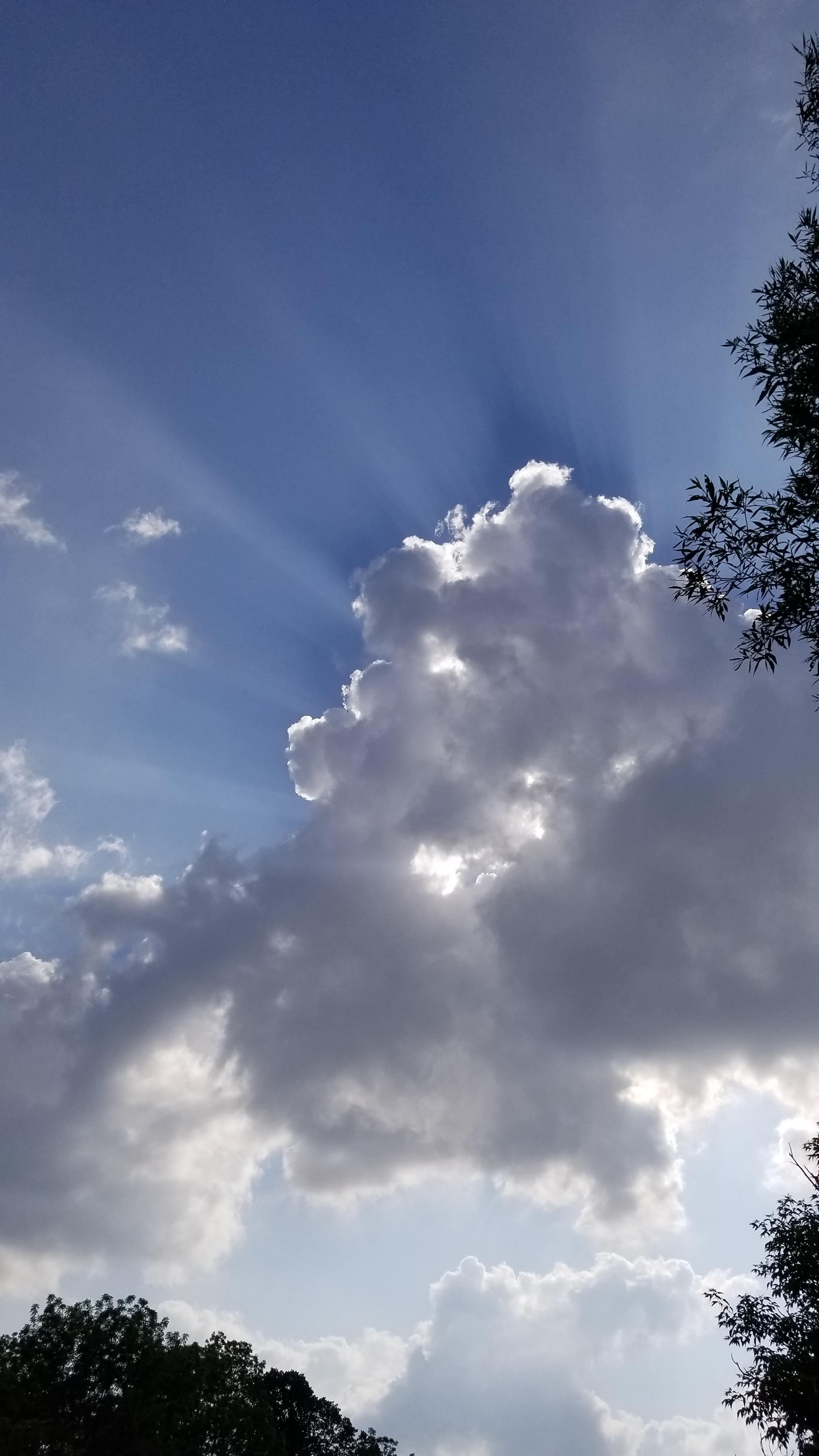 Ray of shadow | Scrolller