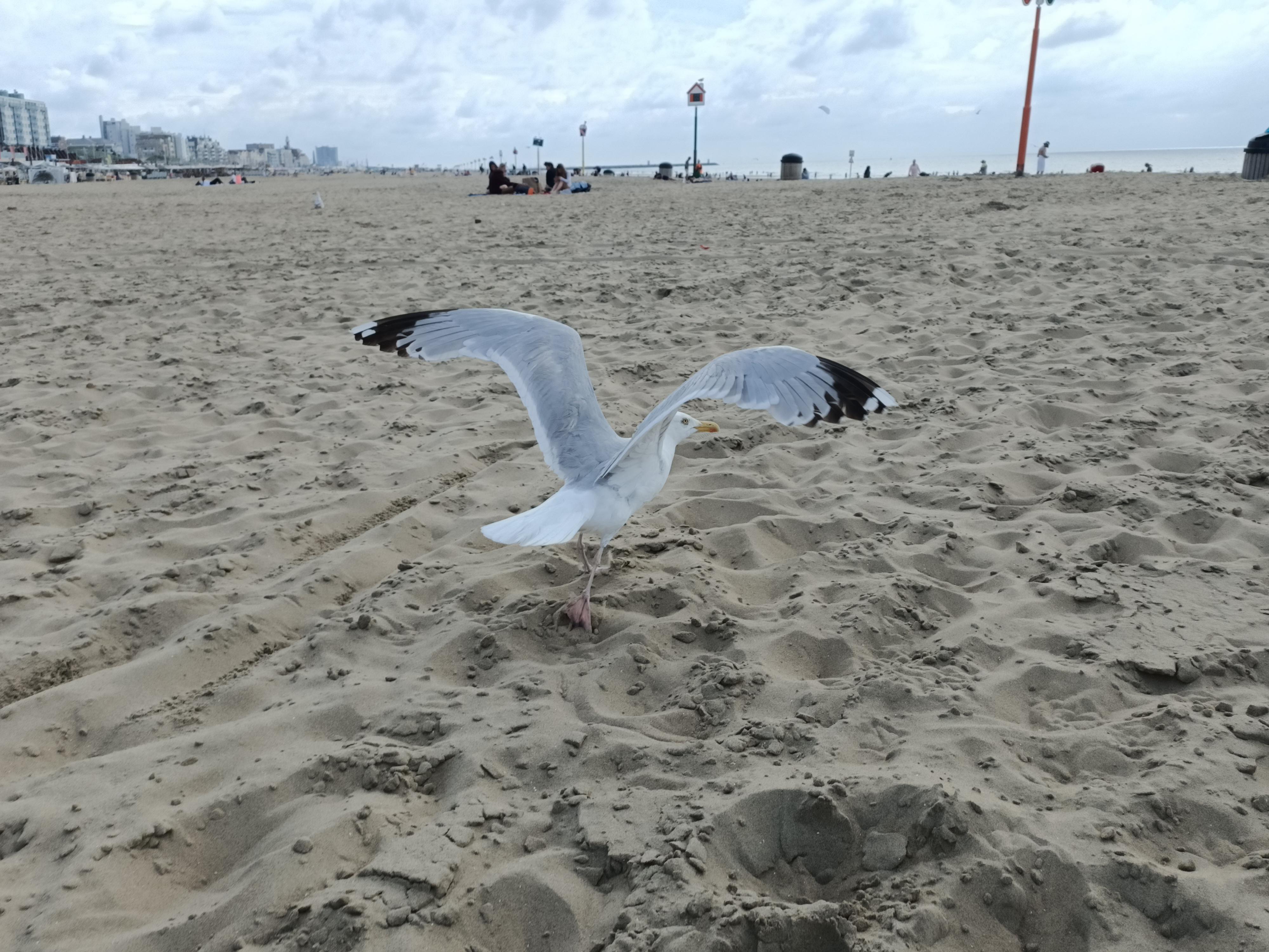 Ready for takeoff | Scrolller