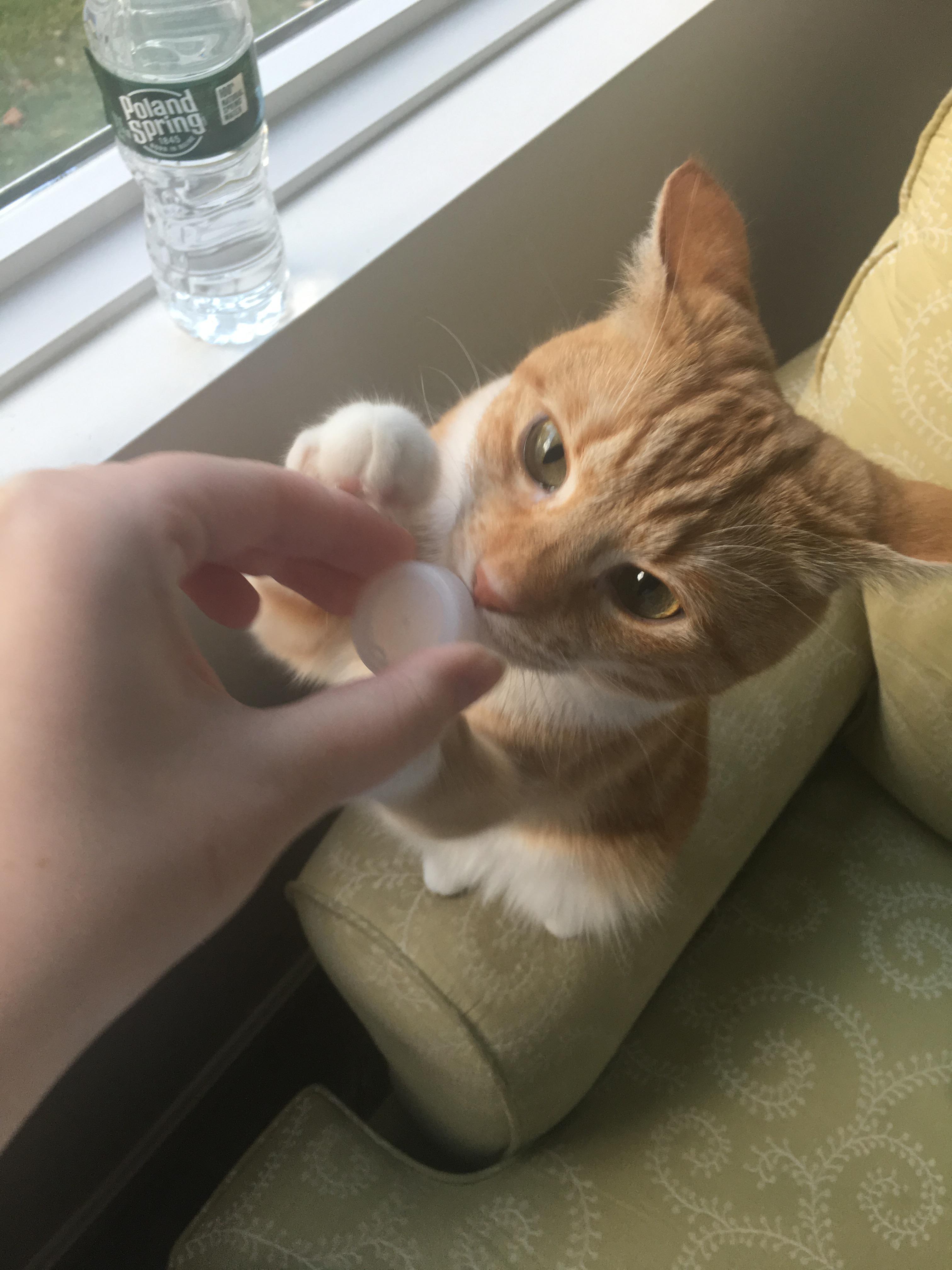 Ready for takeoff! | Scrolller