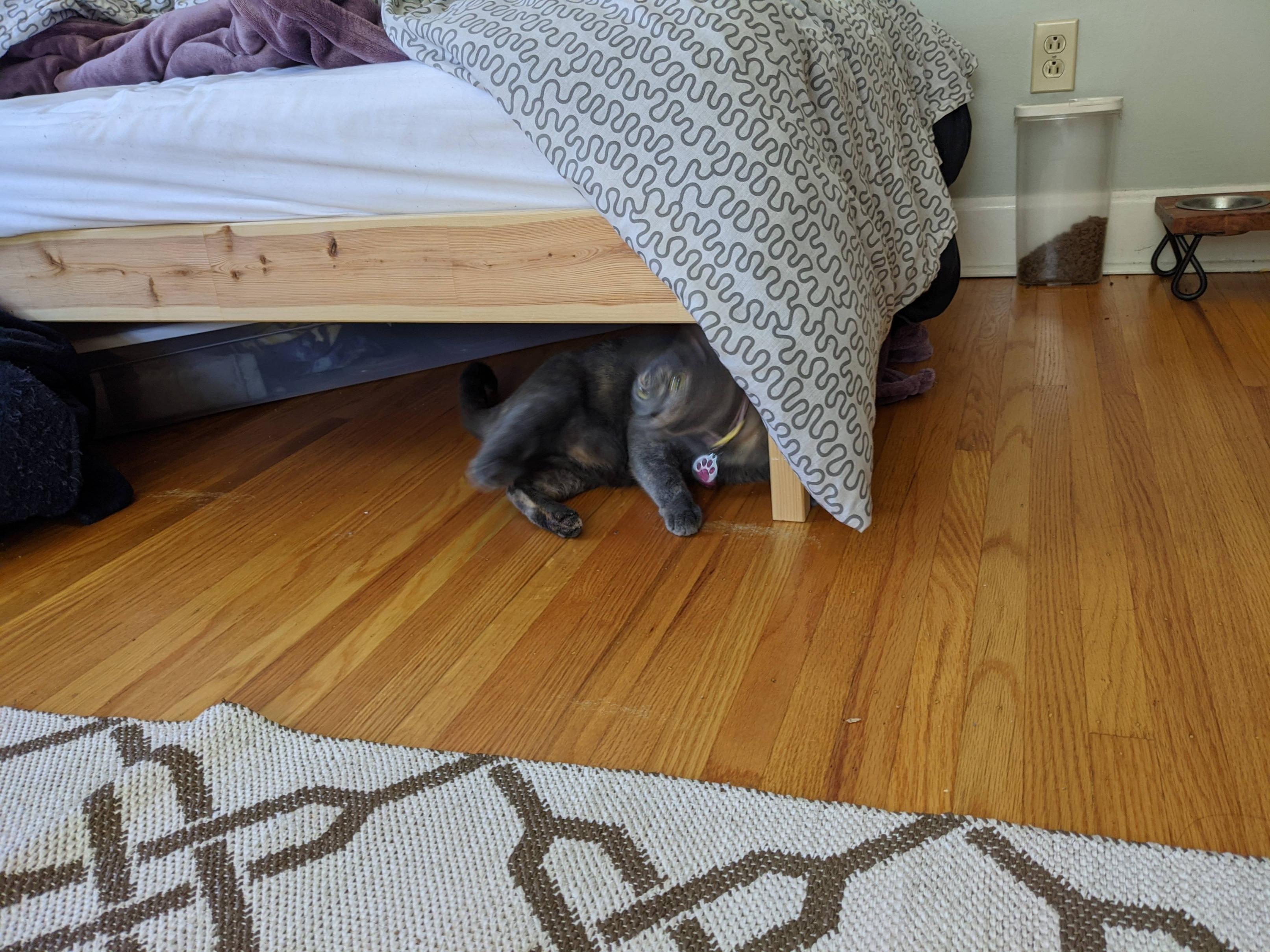 Ready for warp | Scrolller