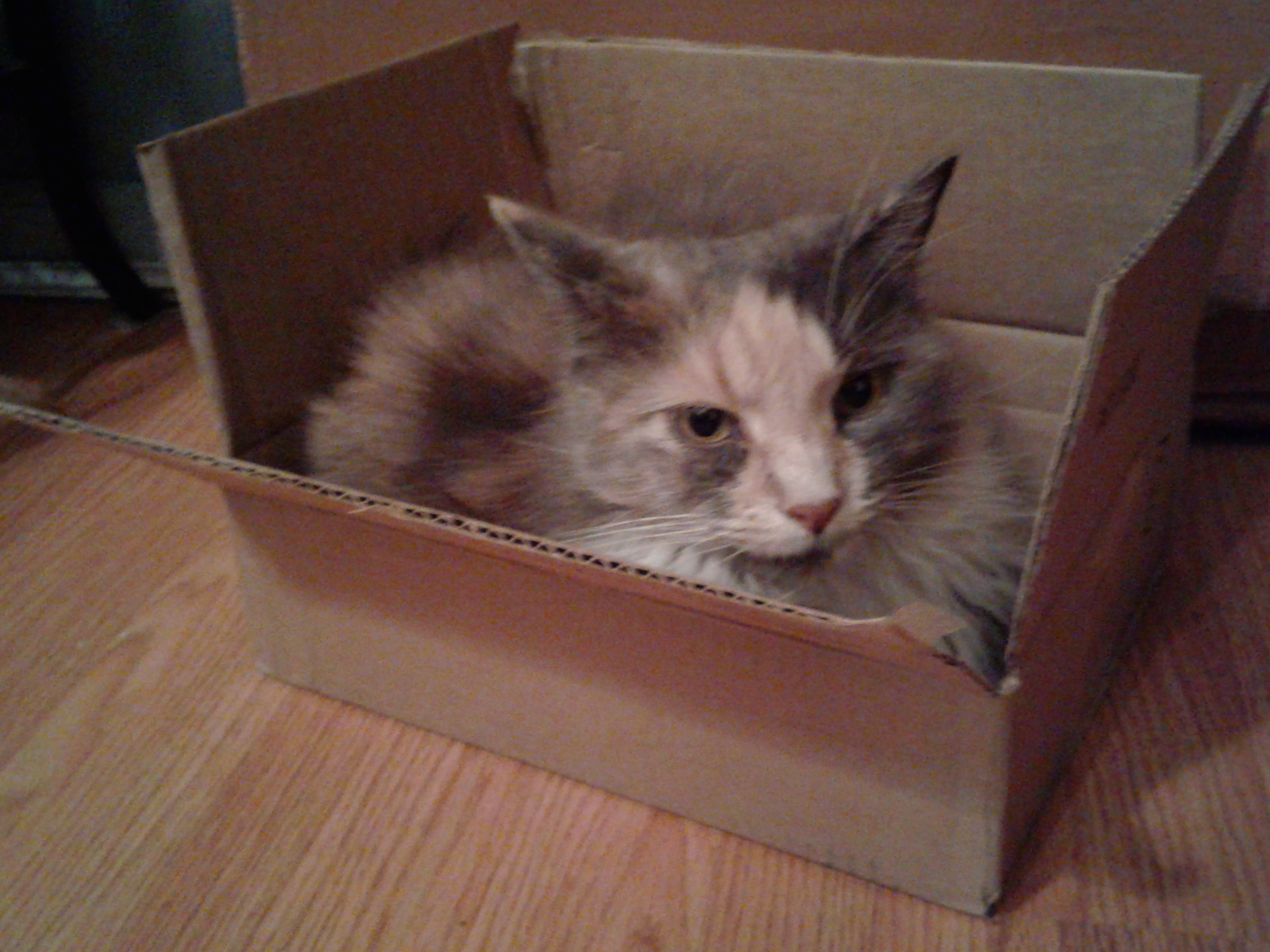 Ready to launch | Scrolller