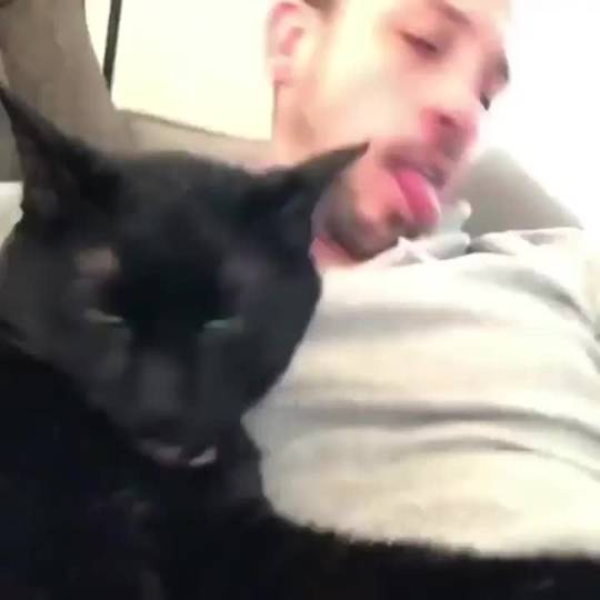 "Really Hooman???" | Scrolller