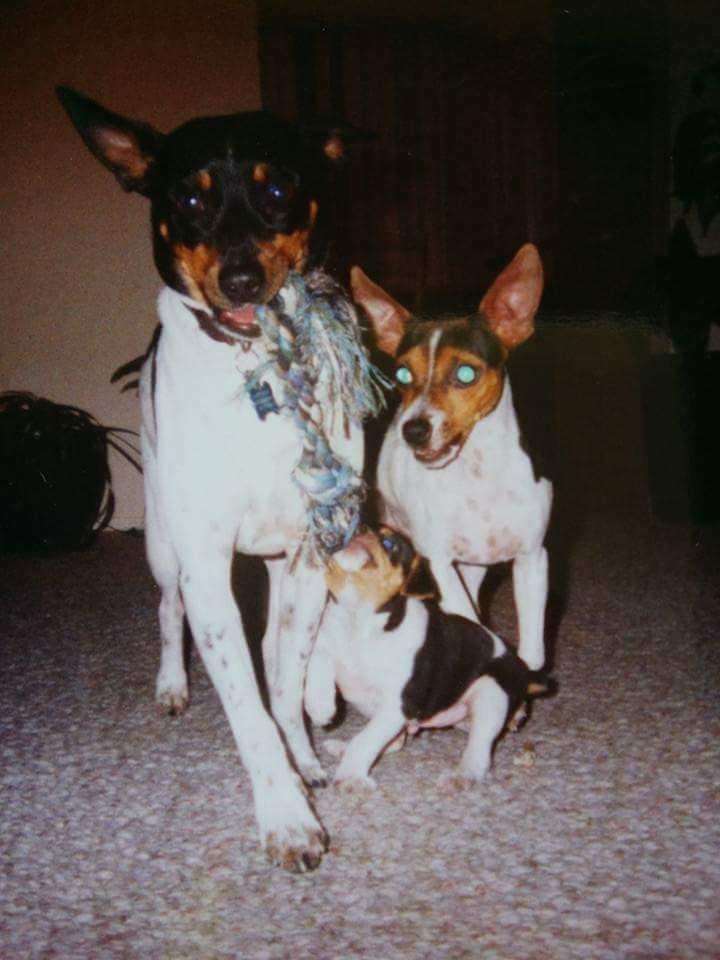 "Really, you got dad?!?" | Scrolller