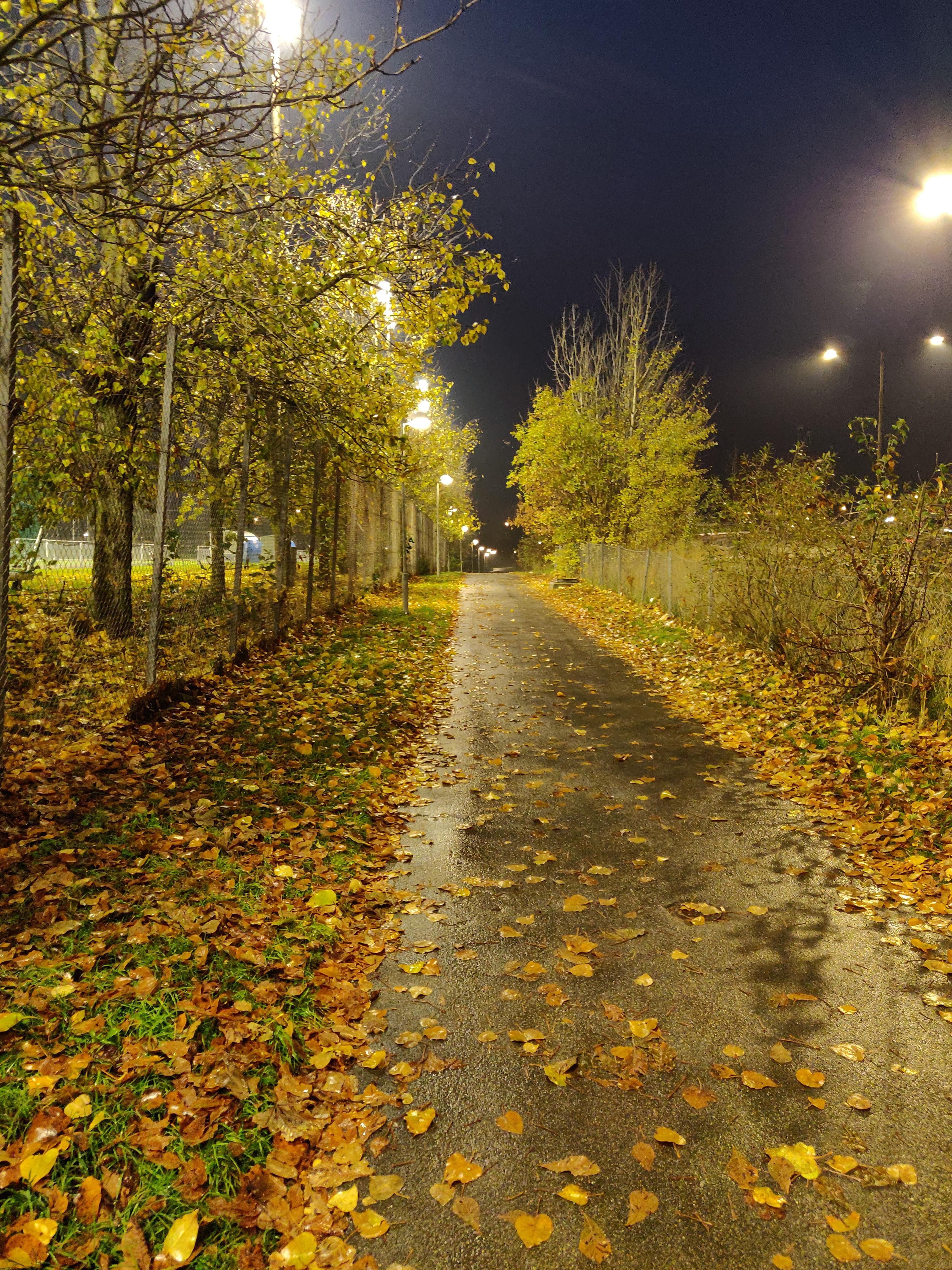 Recent Nightwalk | Scrolller