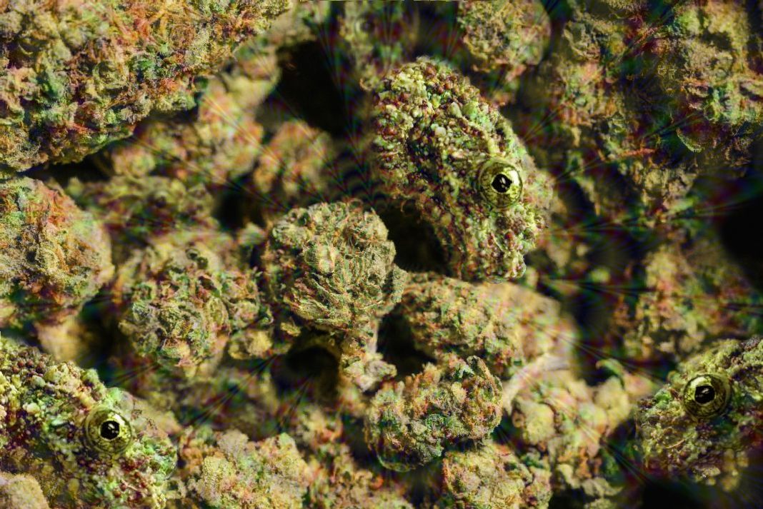 Recognition | Scrolller