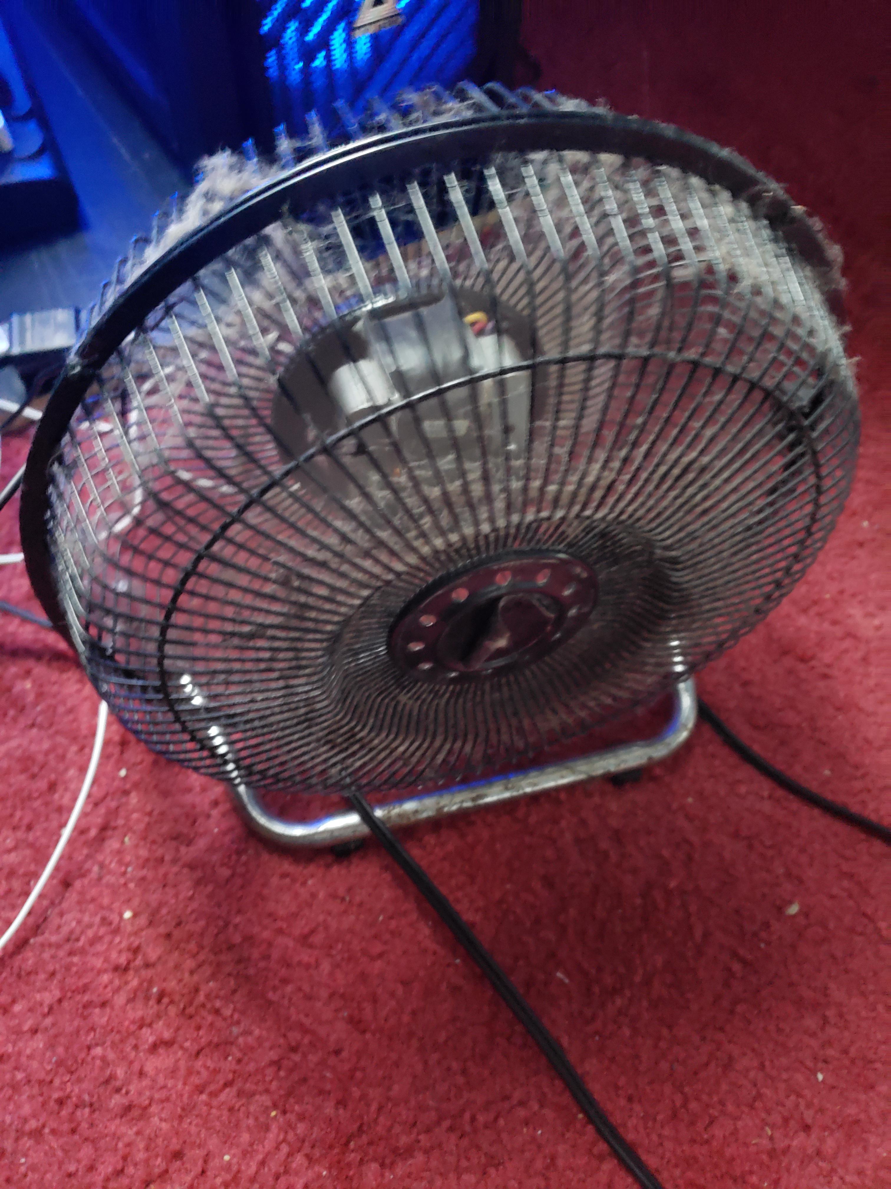 Red Carpet Fan | Scrolller