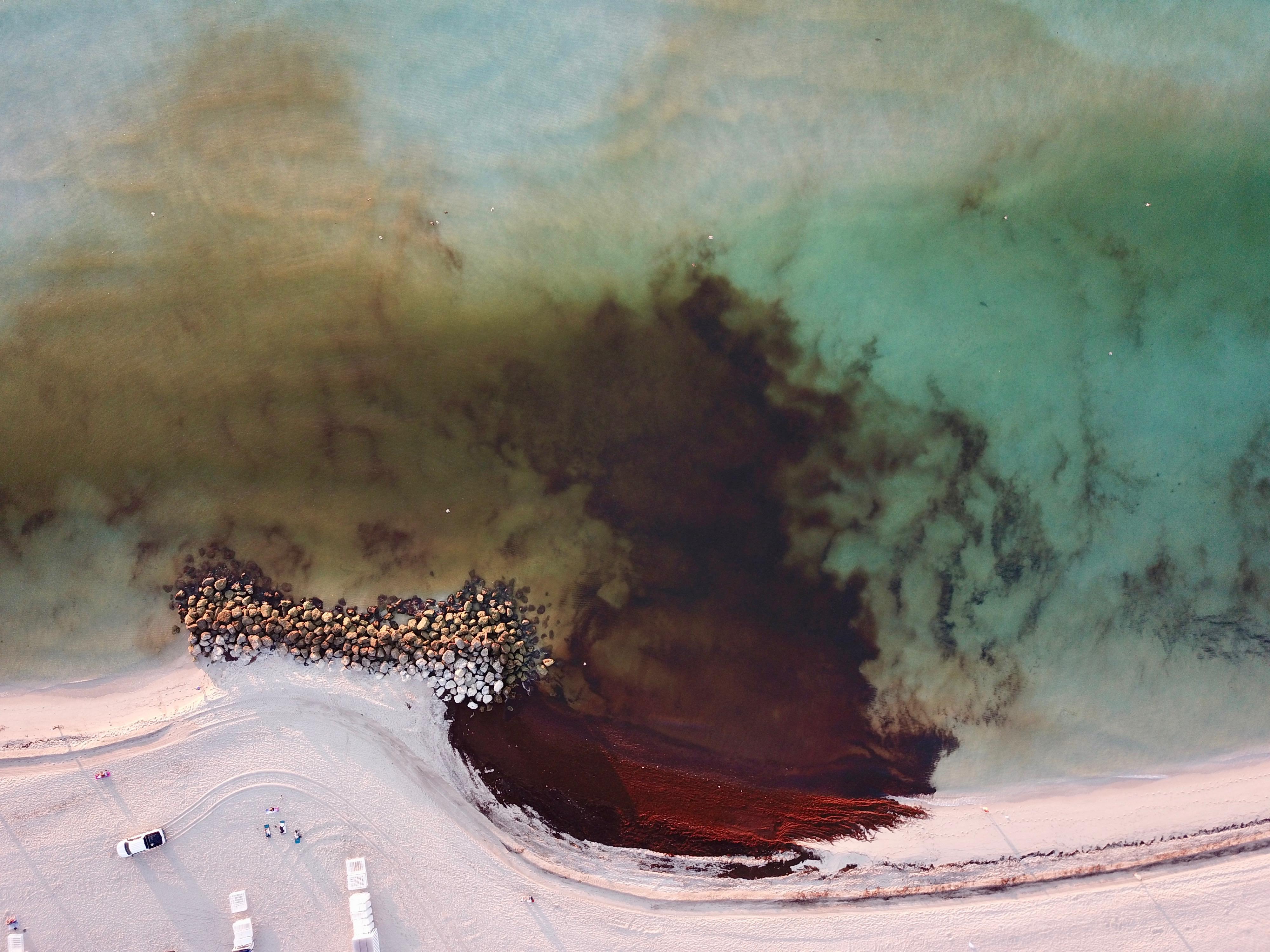 Red tide on Miami Beach | Scrolller