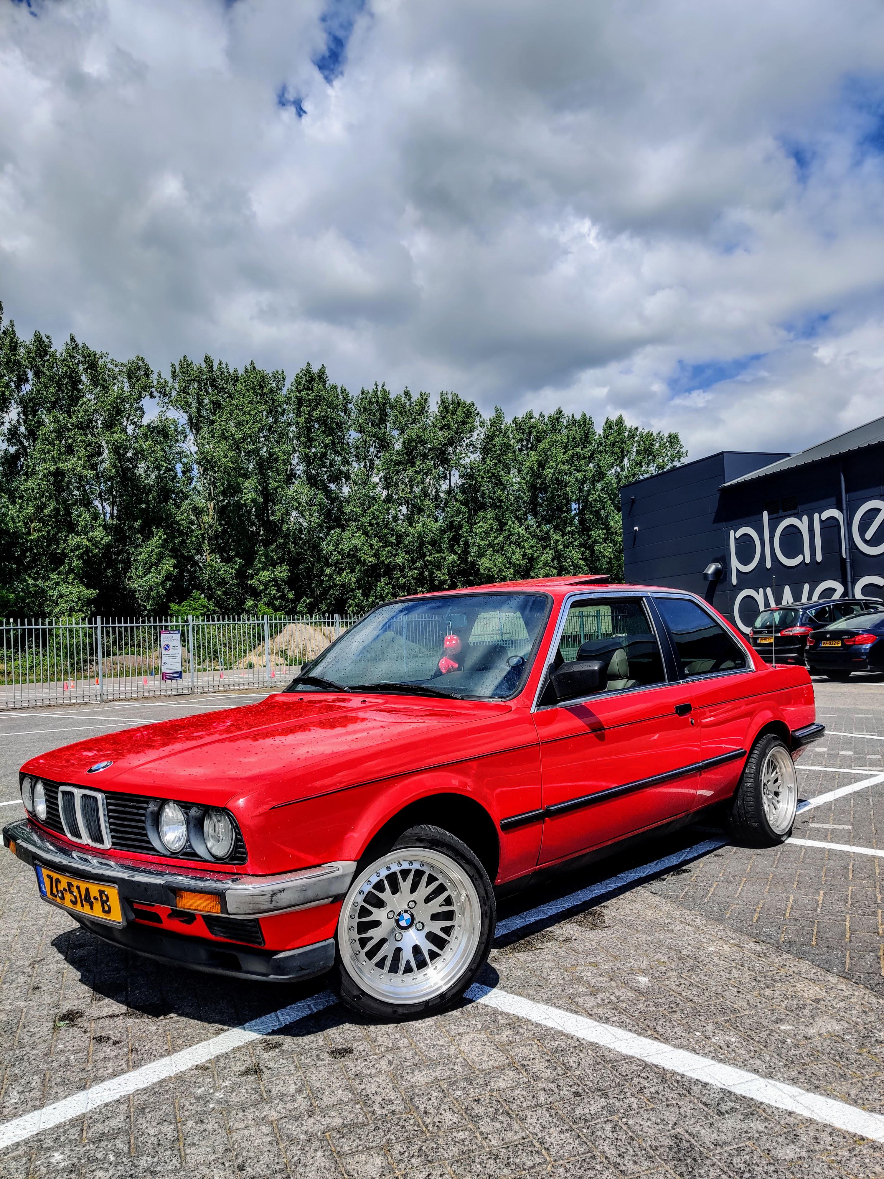 Reddit, meet Amélie | Scrolller