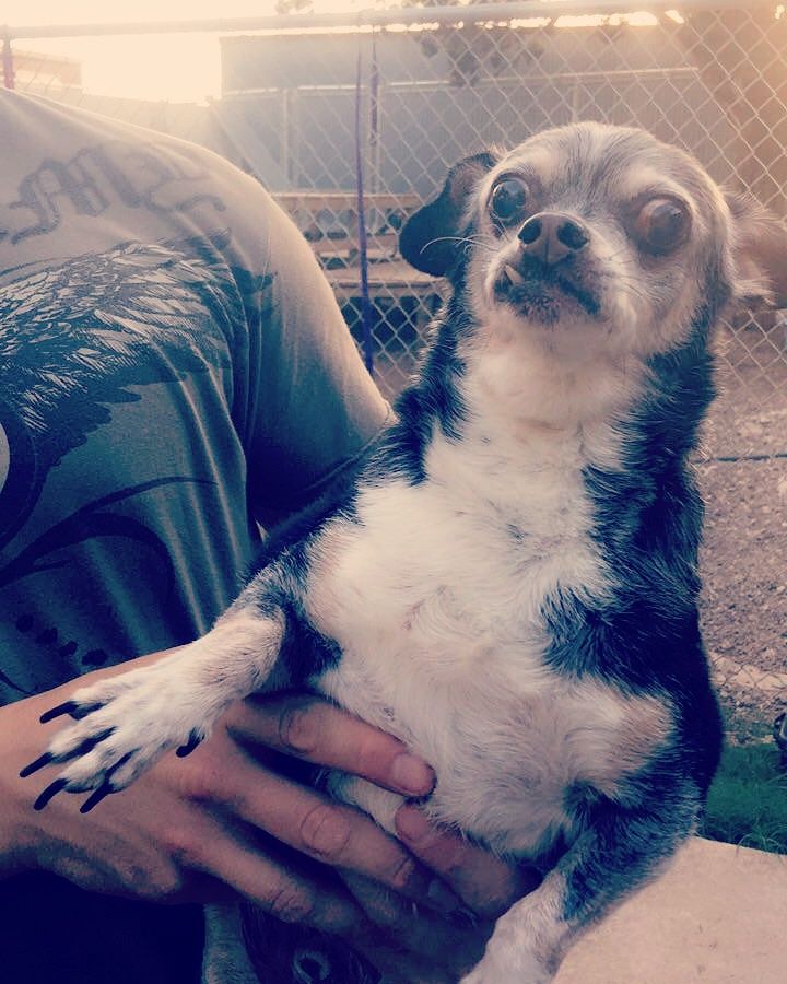 Reddit, meet Lip. | Scrolller