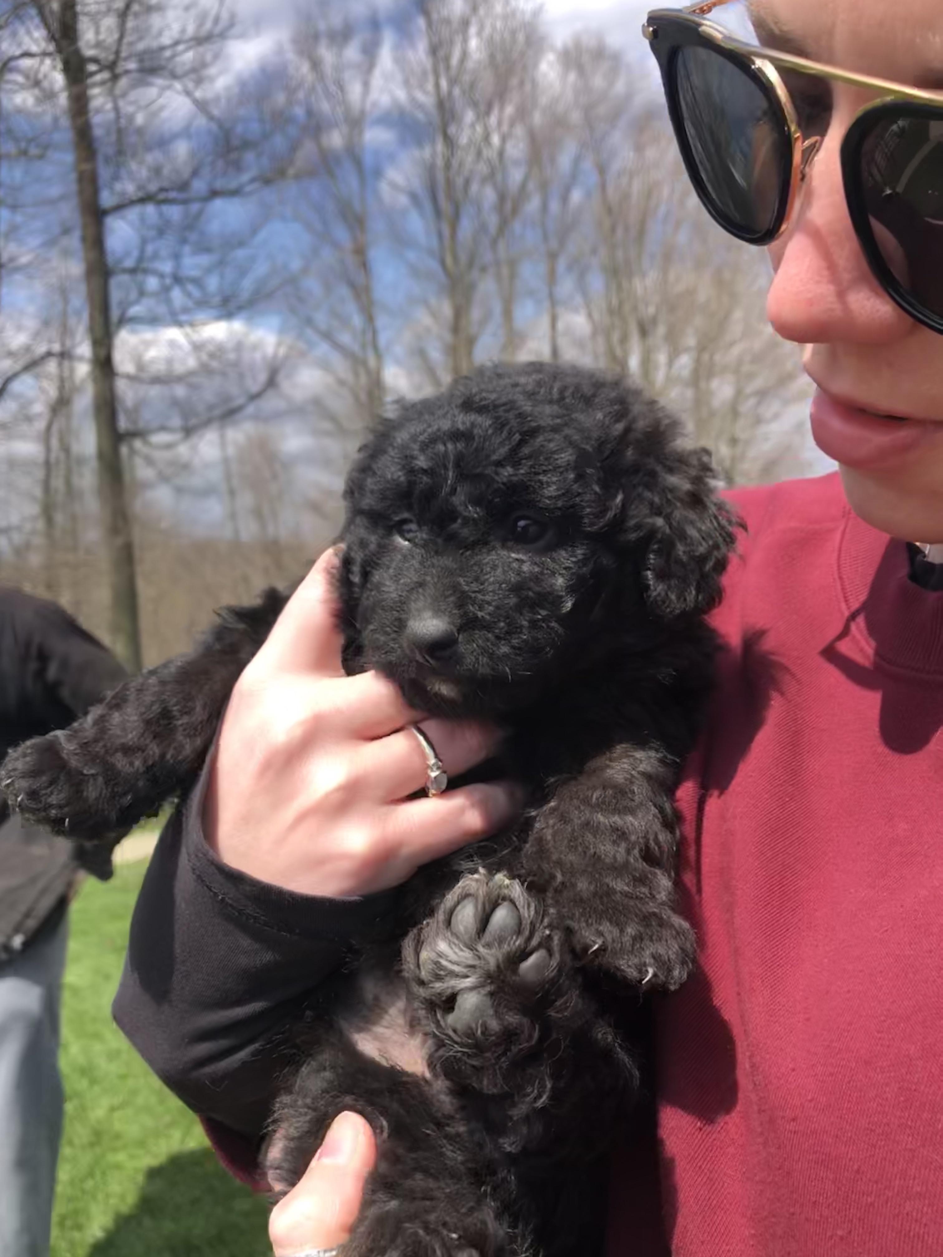 Reddit... Meet Luna | Scrolller