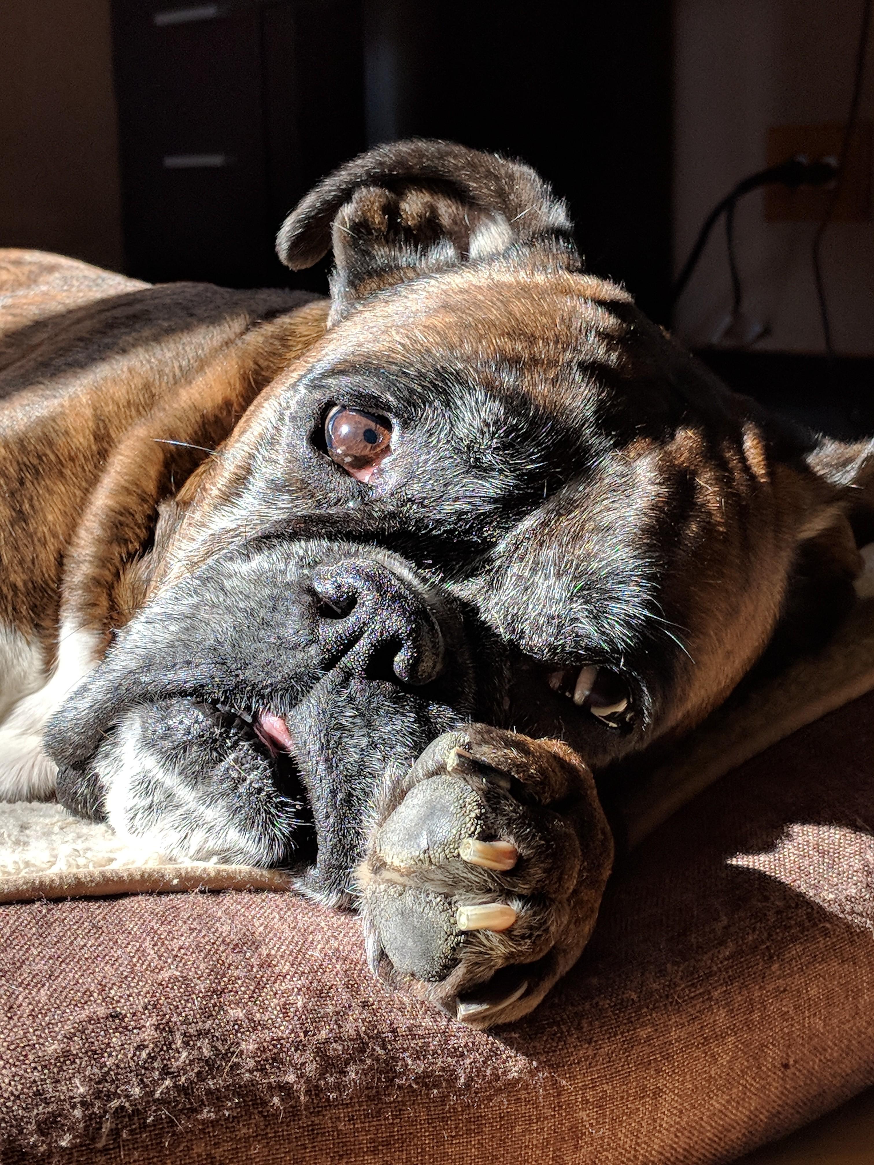 Reddit, meet Tuzdae | Scrolller