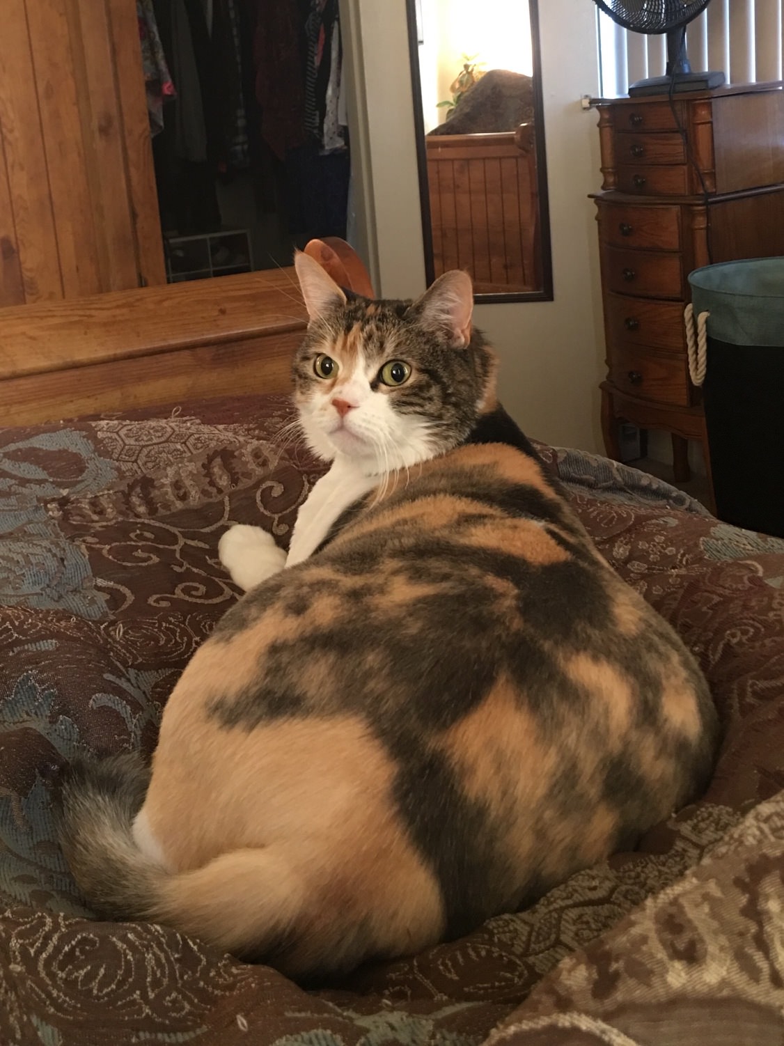 Reesie the marble loaf. | Scrolller